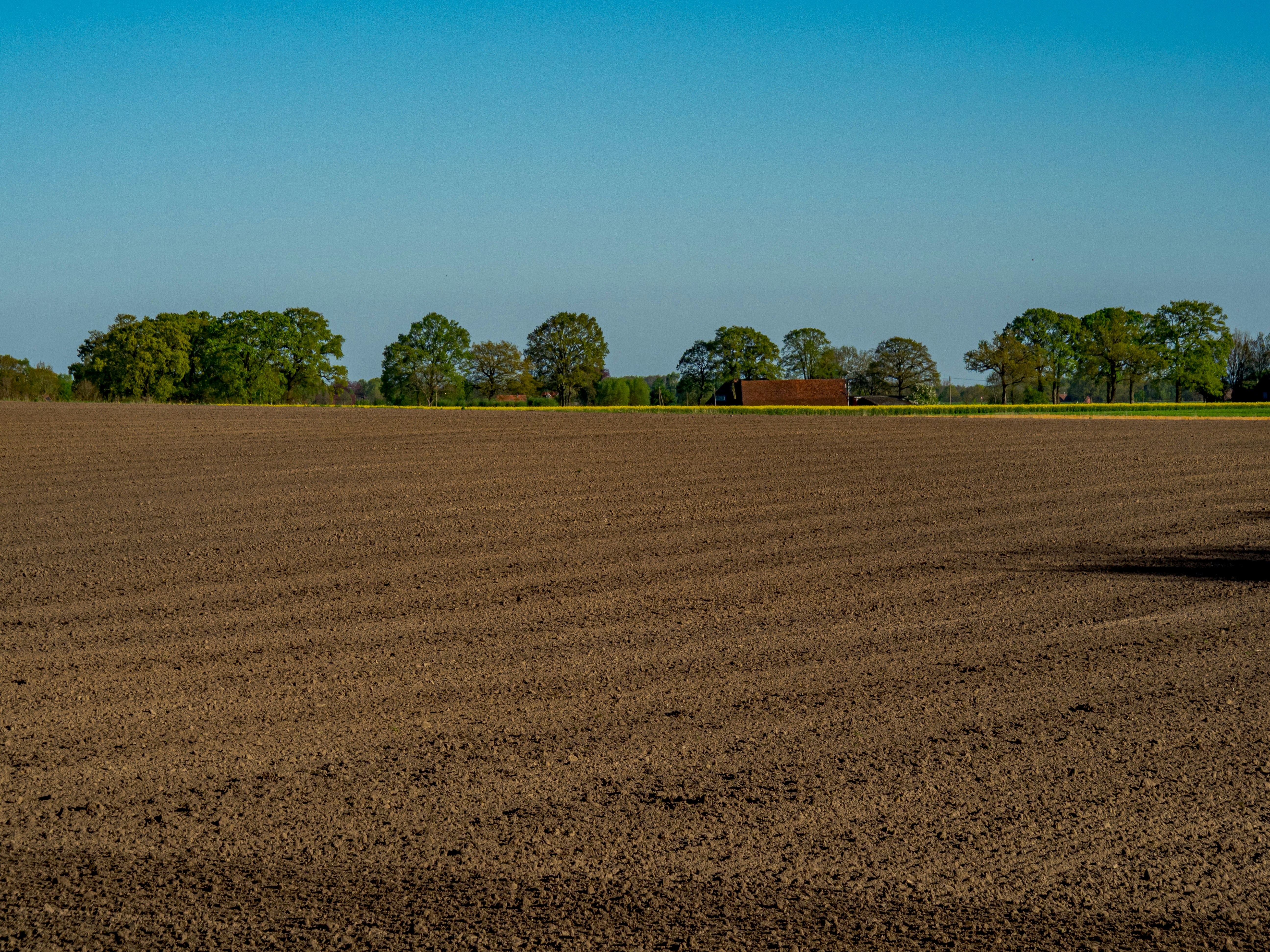 Midfield Horizon: A Quiet Field Under a Clear Day