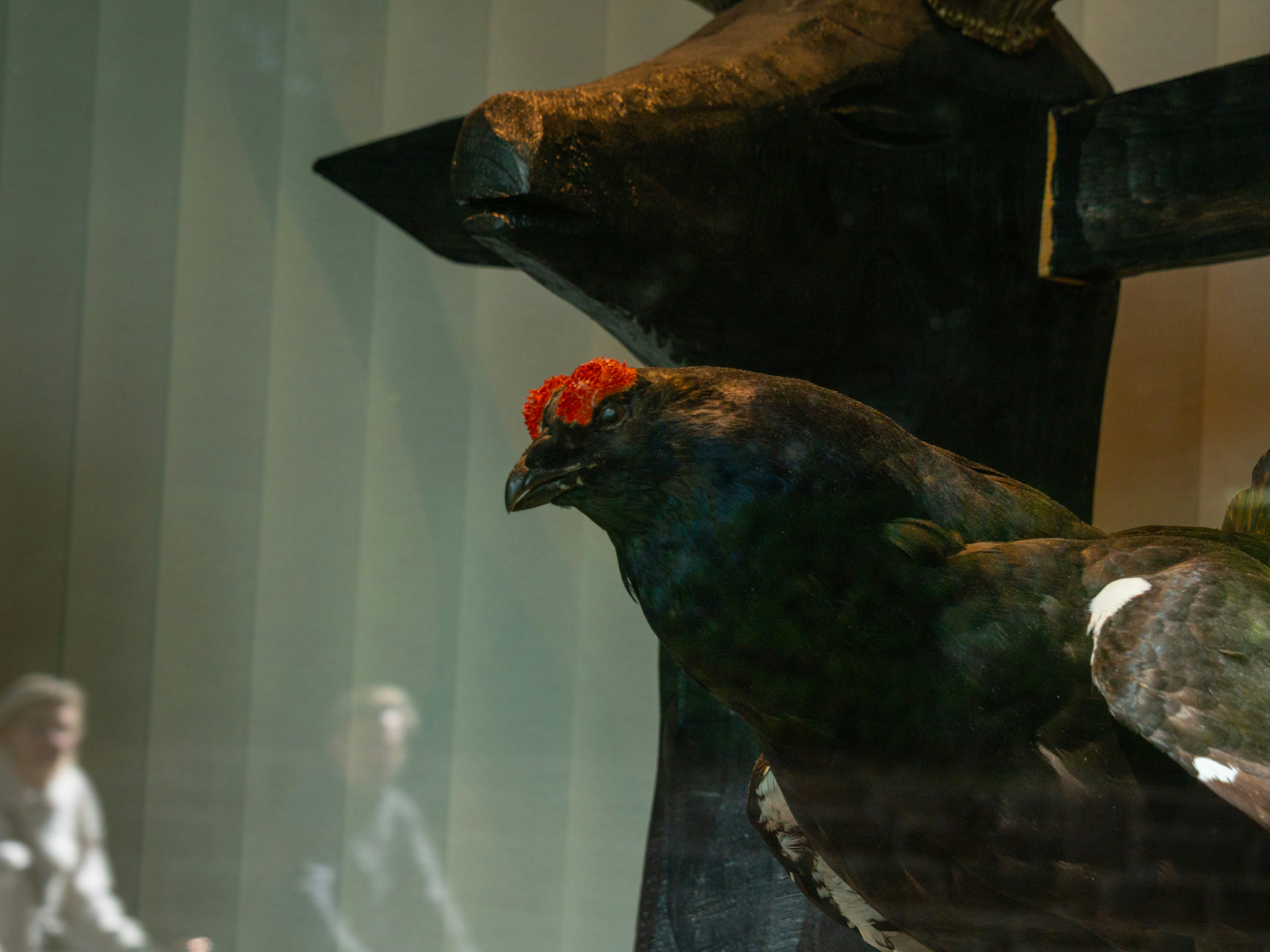 Sculpted Rooster in Glass: A Quiet Museum Moment