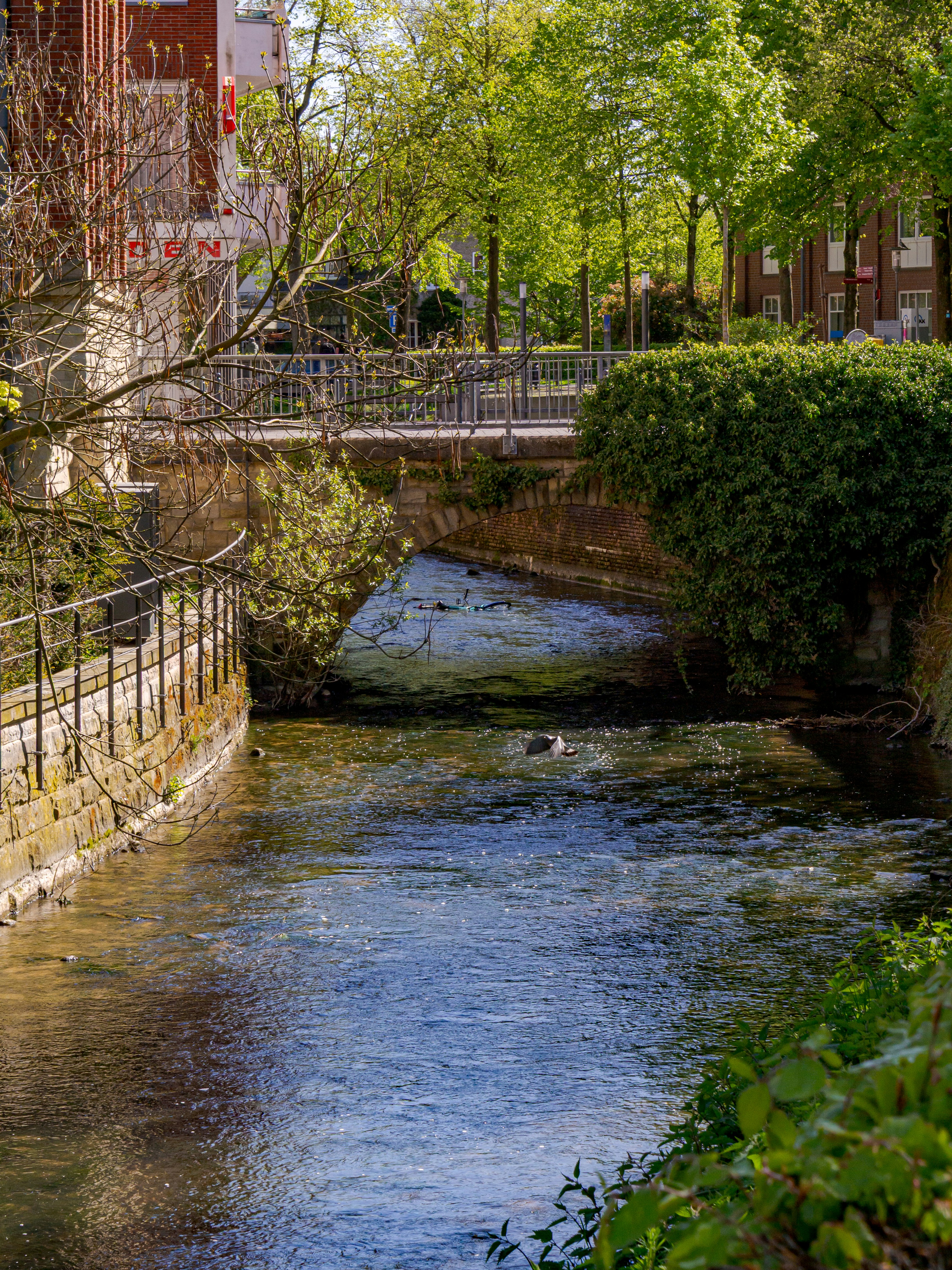 Bridge over the Quiet Urban River