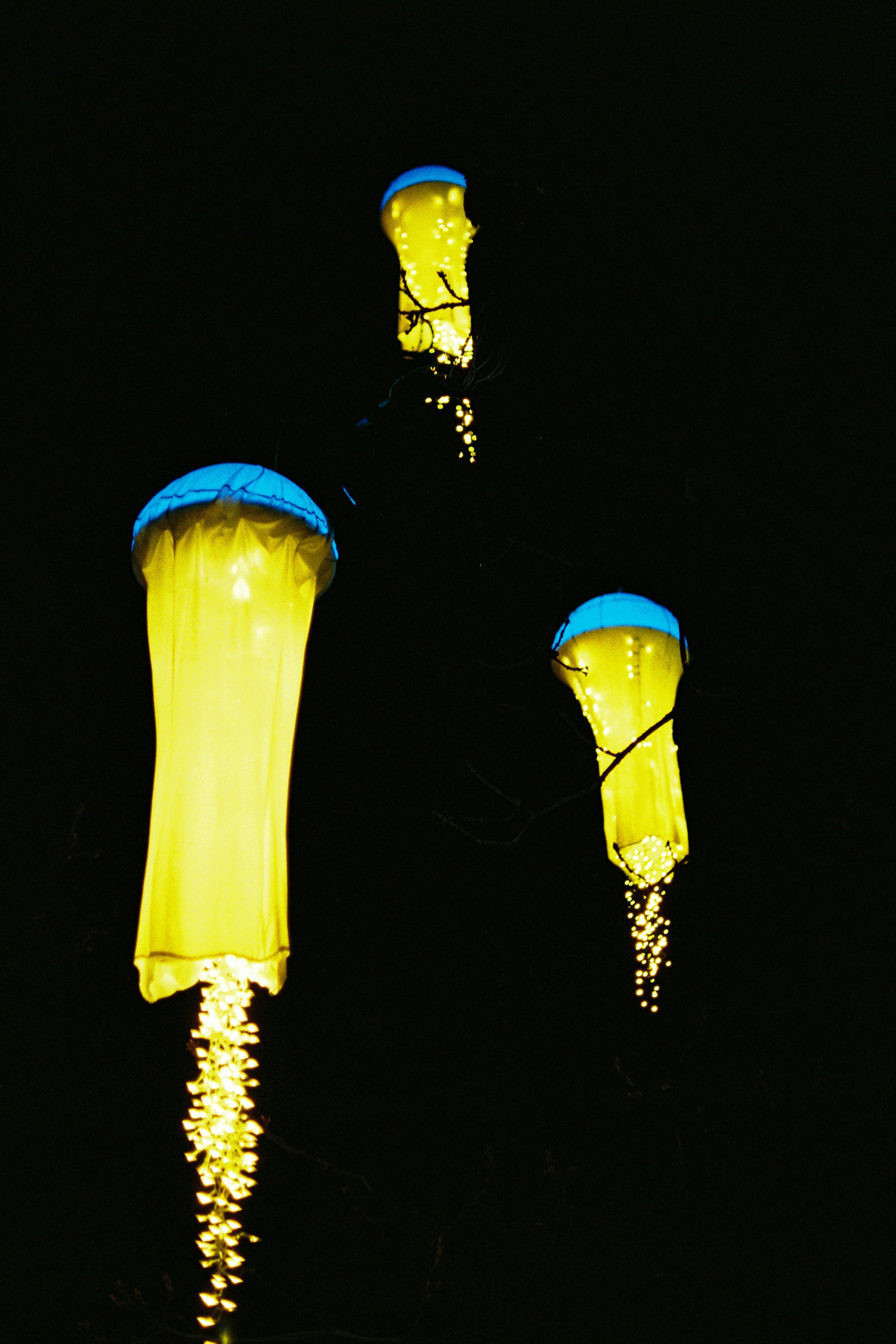 Glowing Lanterns in the Night: Floating Orbs of Yellow Light