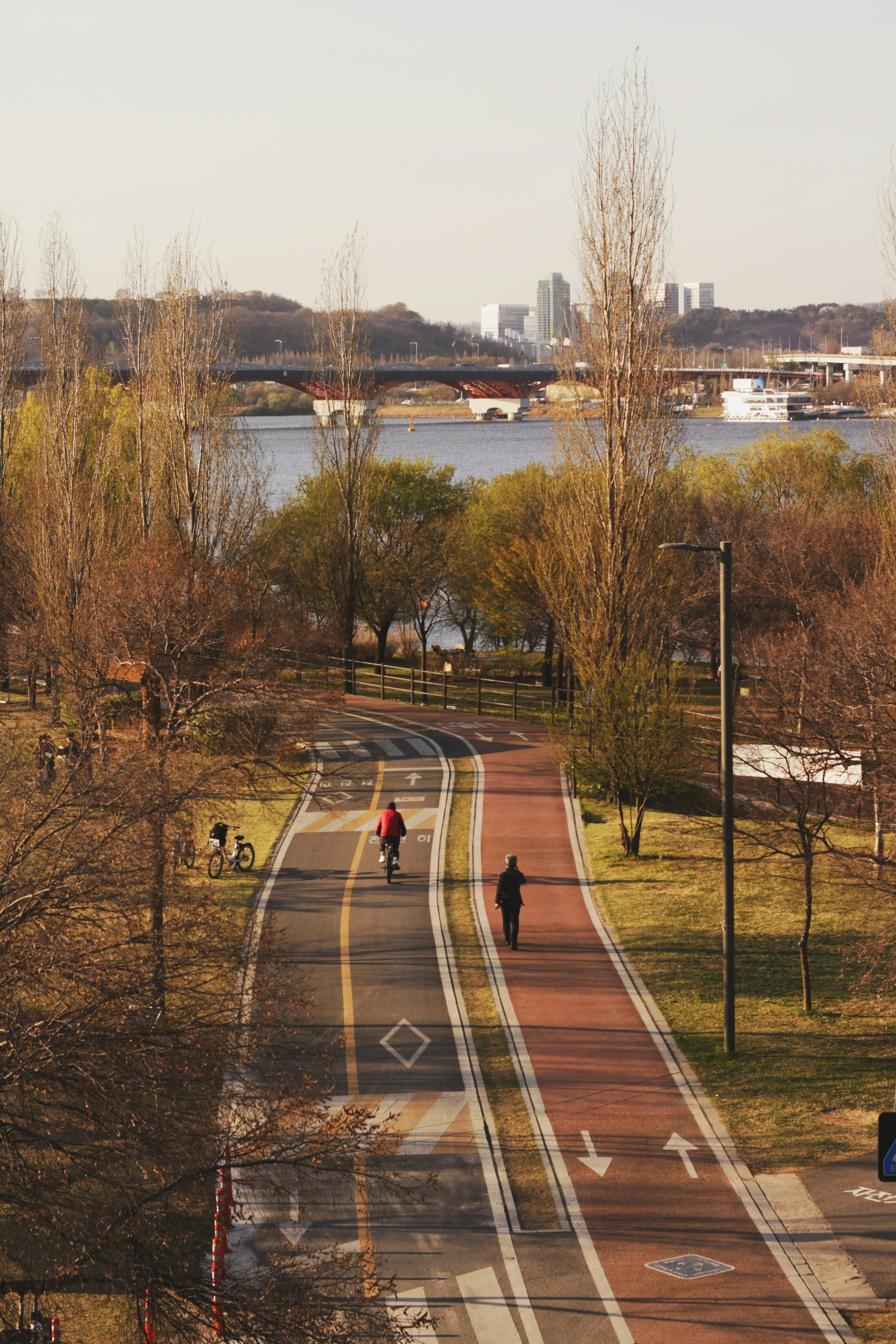Sunlit Riverside Path: Bicyclists and Pedestrians Thread the Quiet Park