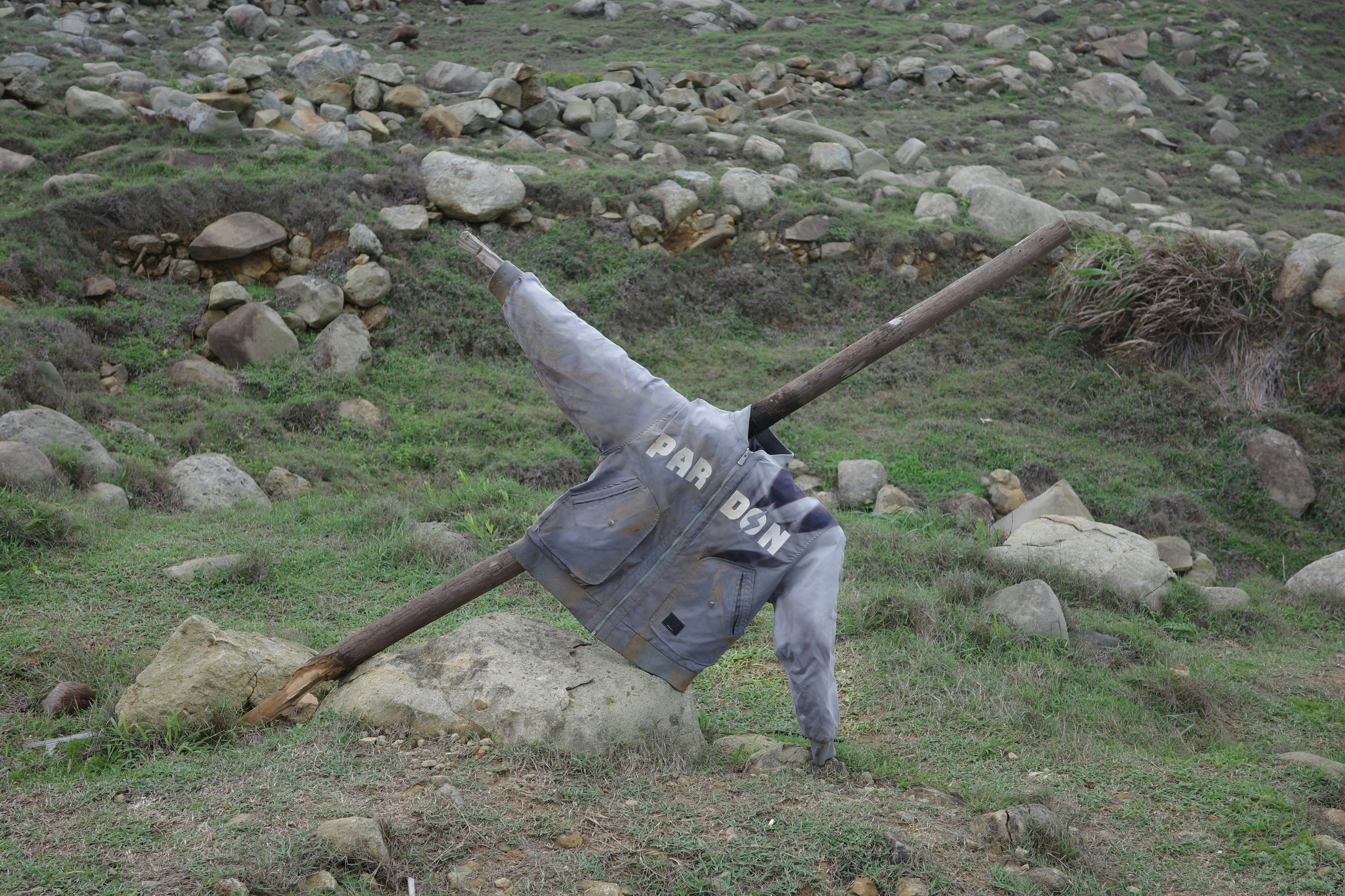 Forgotten Fieldworker Clings to a Pole under Gray Skies