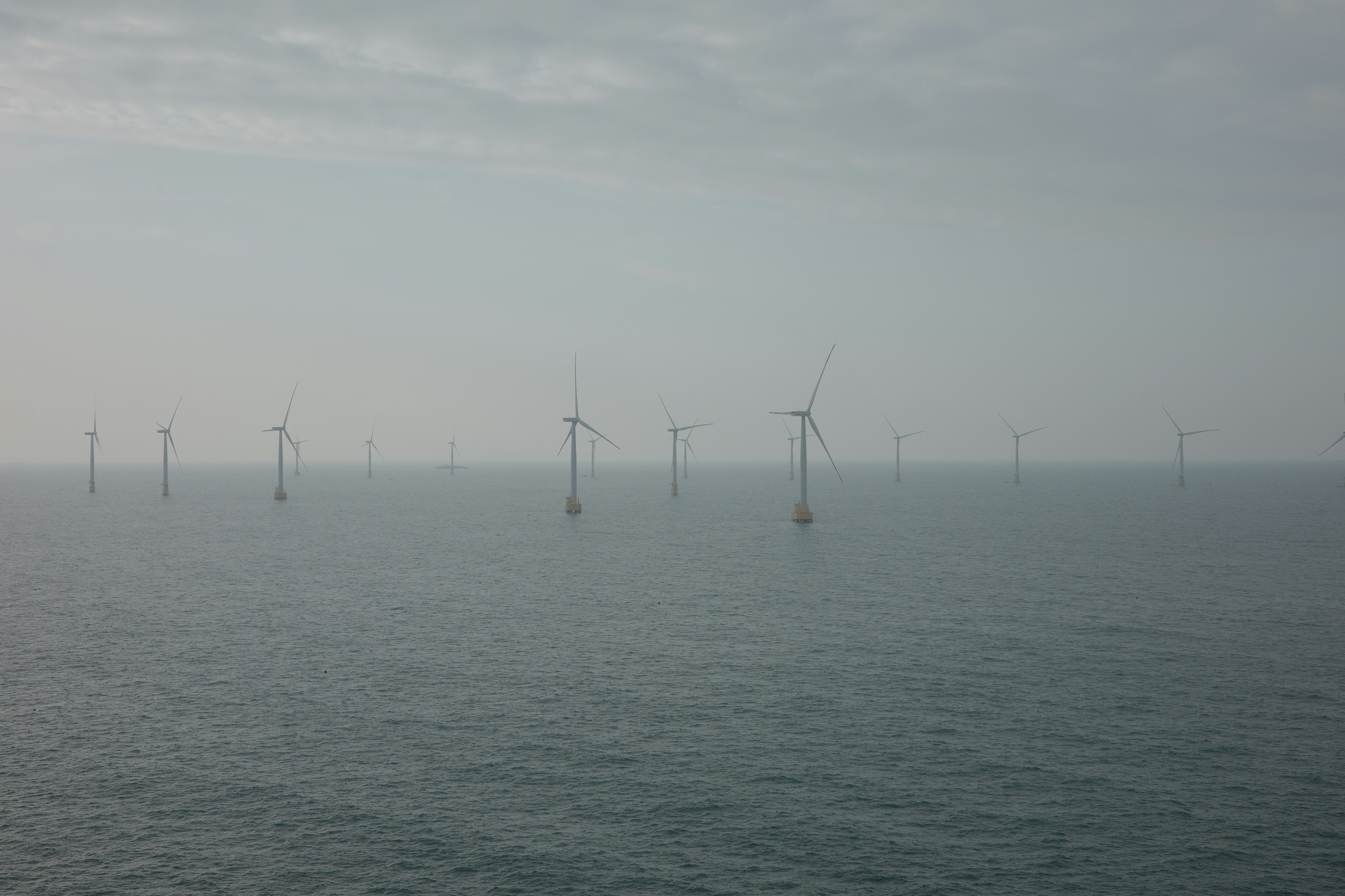 Offshore Sentinels: A Fleet of Gentle Giants on Quiet Seas
