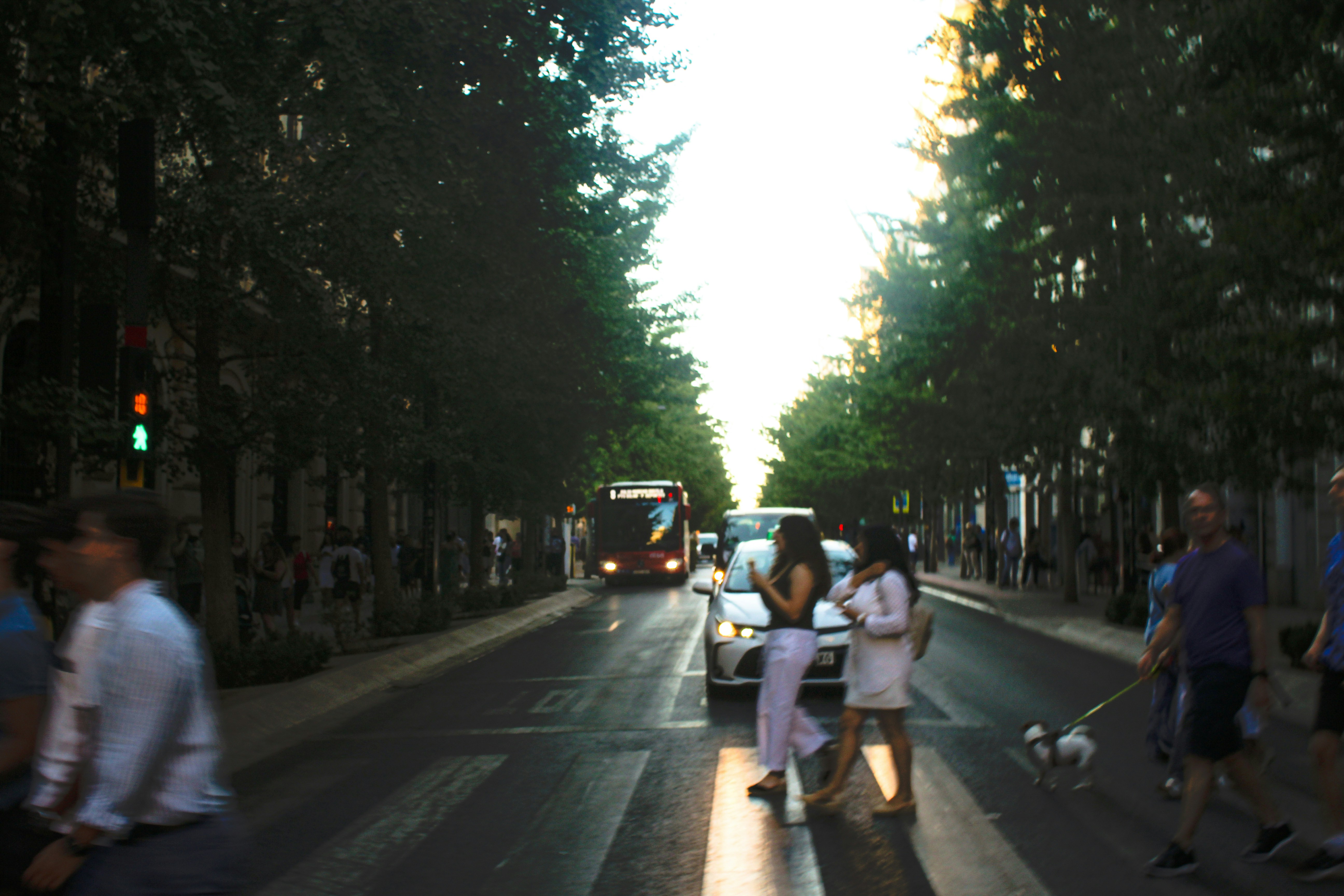 Crosswalk Convergence: City Life in Motion