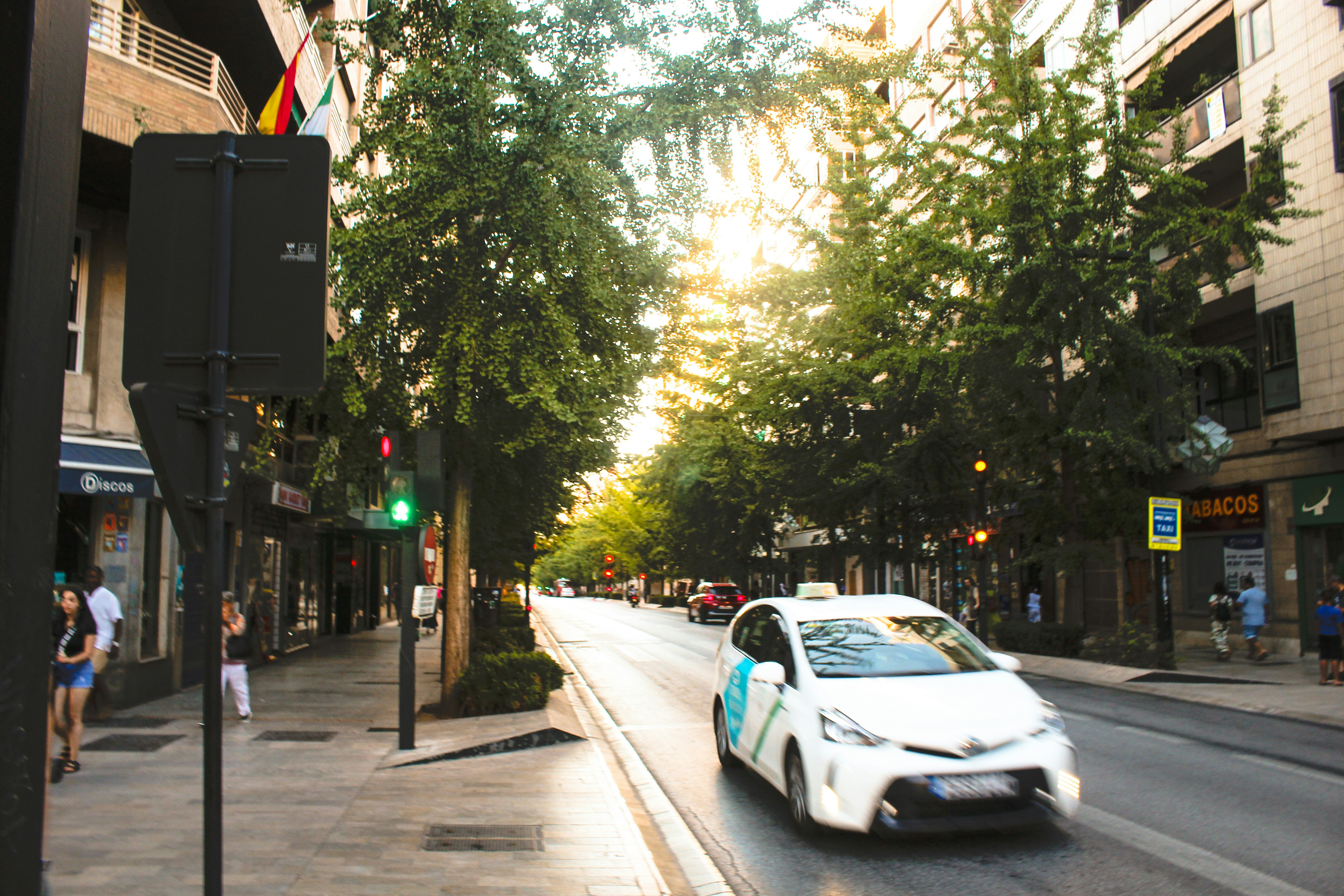 Sunlit Avenue: A Moving City Moment