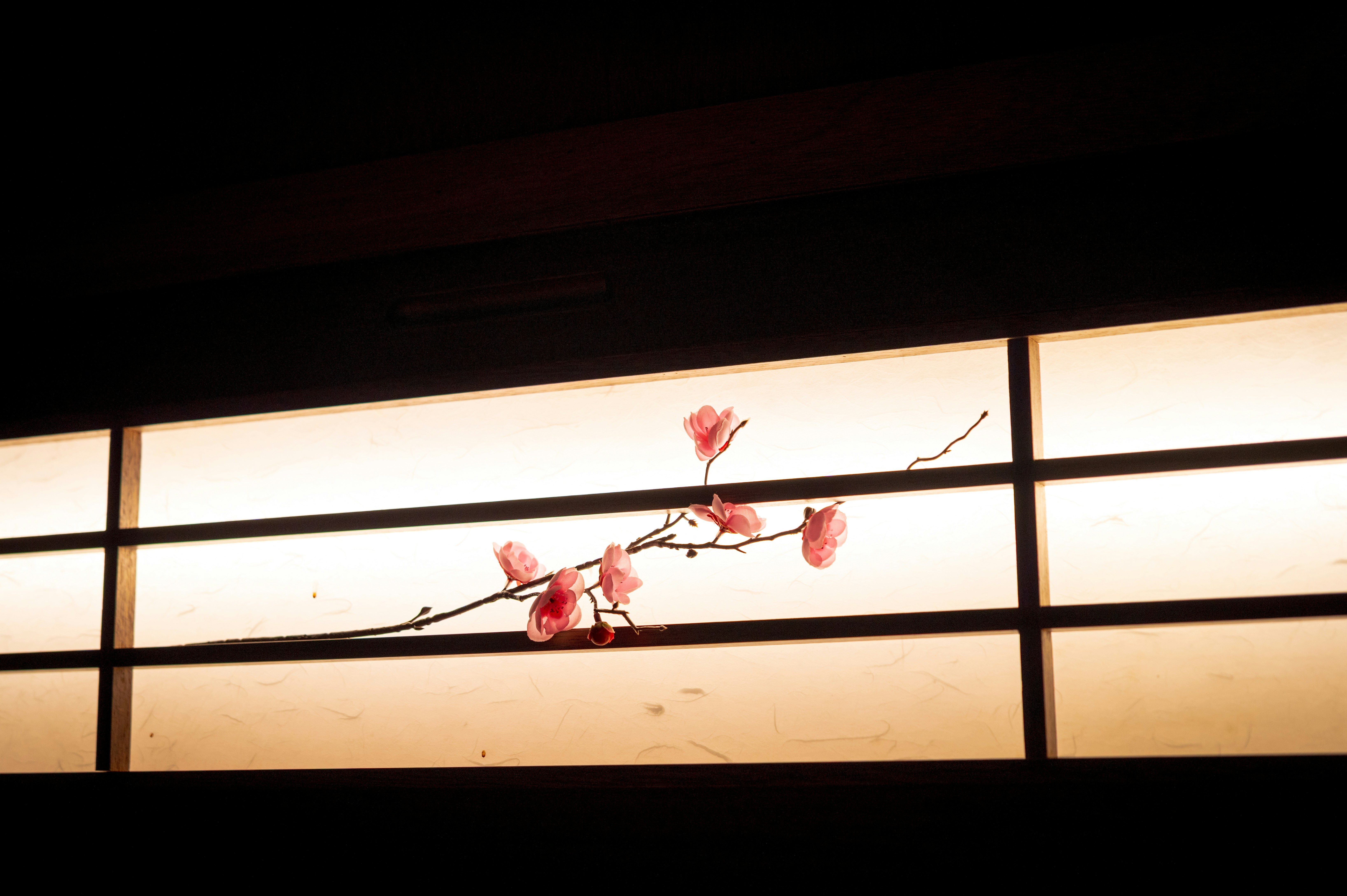 Blossoms on a Lantern Band