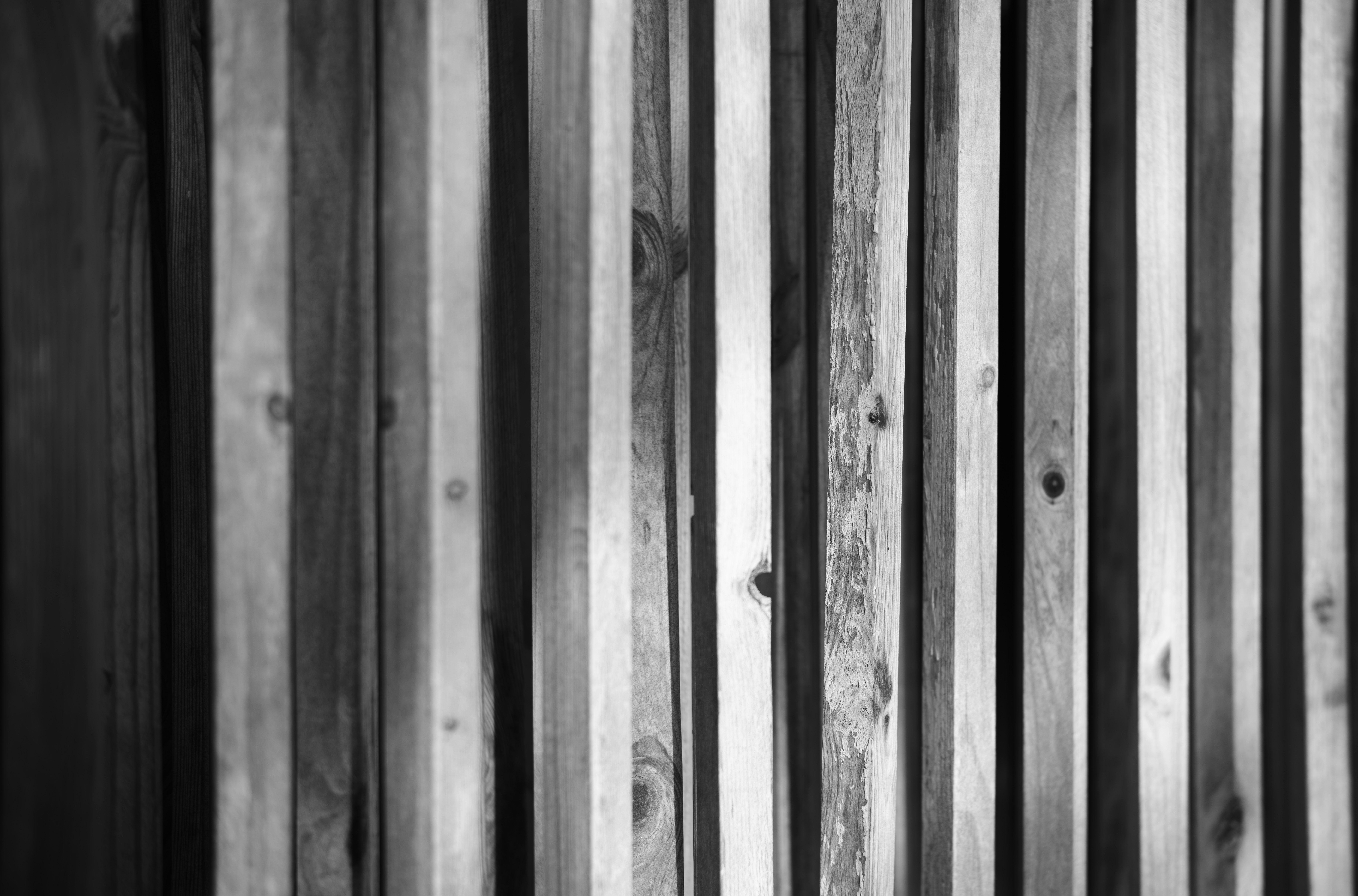 Vertical Strata: A Monochrome Study of Wooden Palings