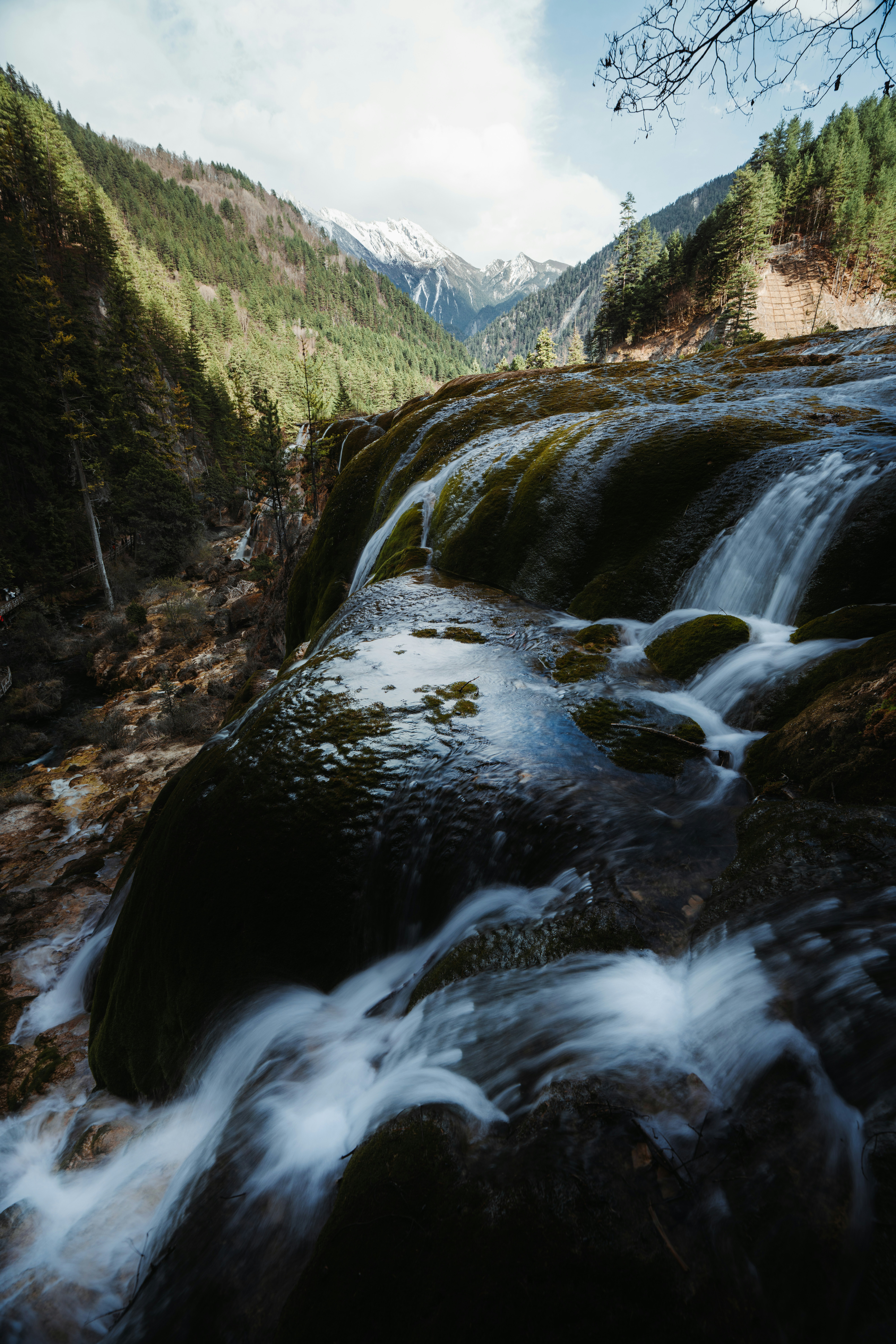 Misty Cascade: A Mountain Stream Carving Moss-Clicked Stone