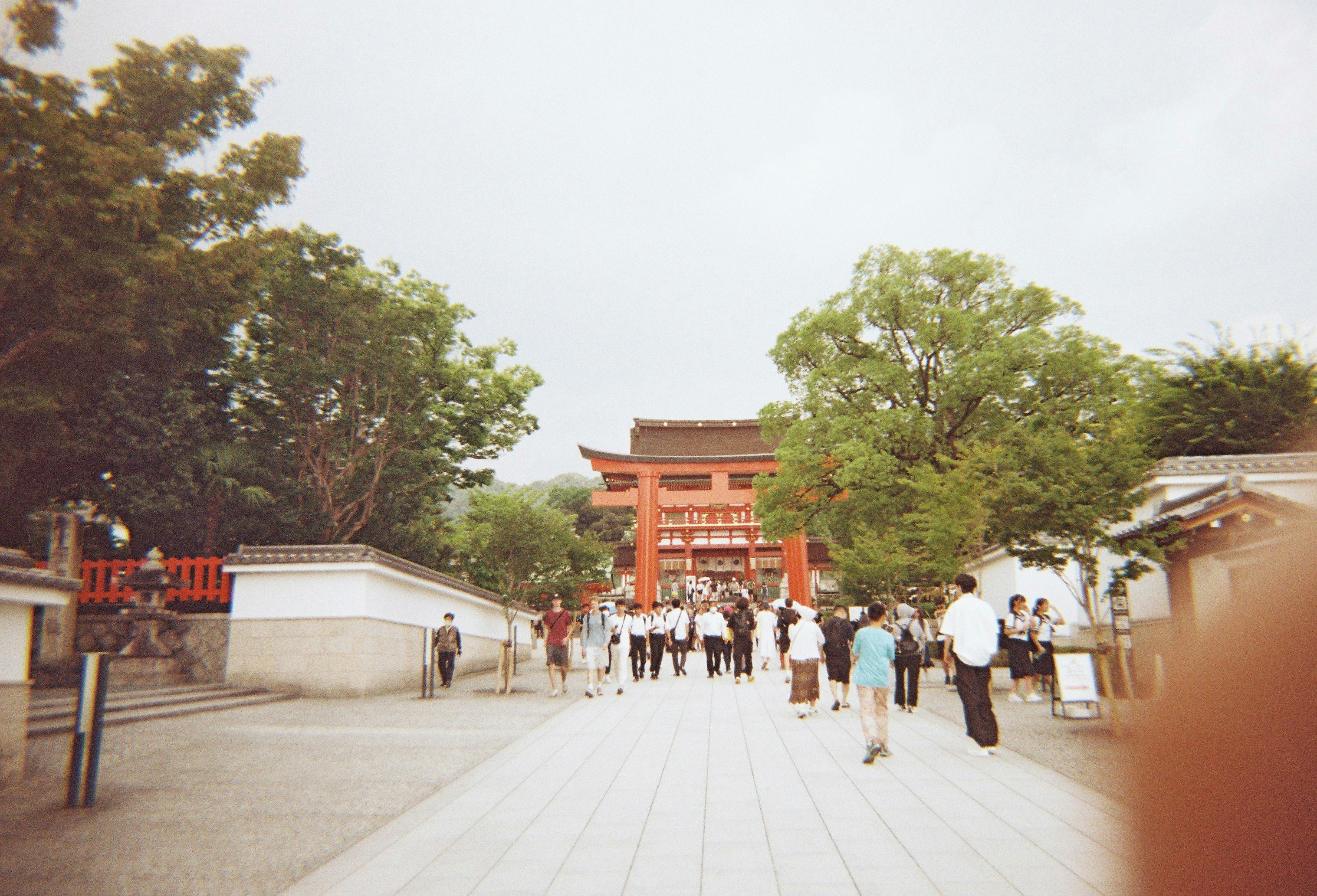 Temple Gate at the Park: A Soft, Evening Walk Toward History