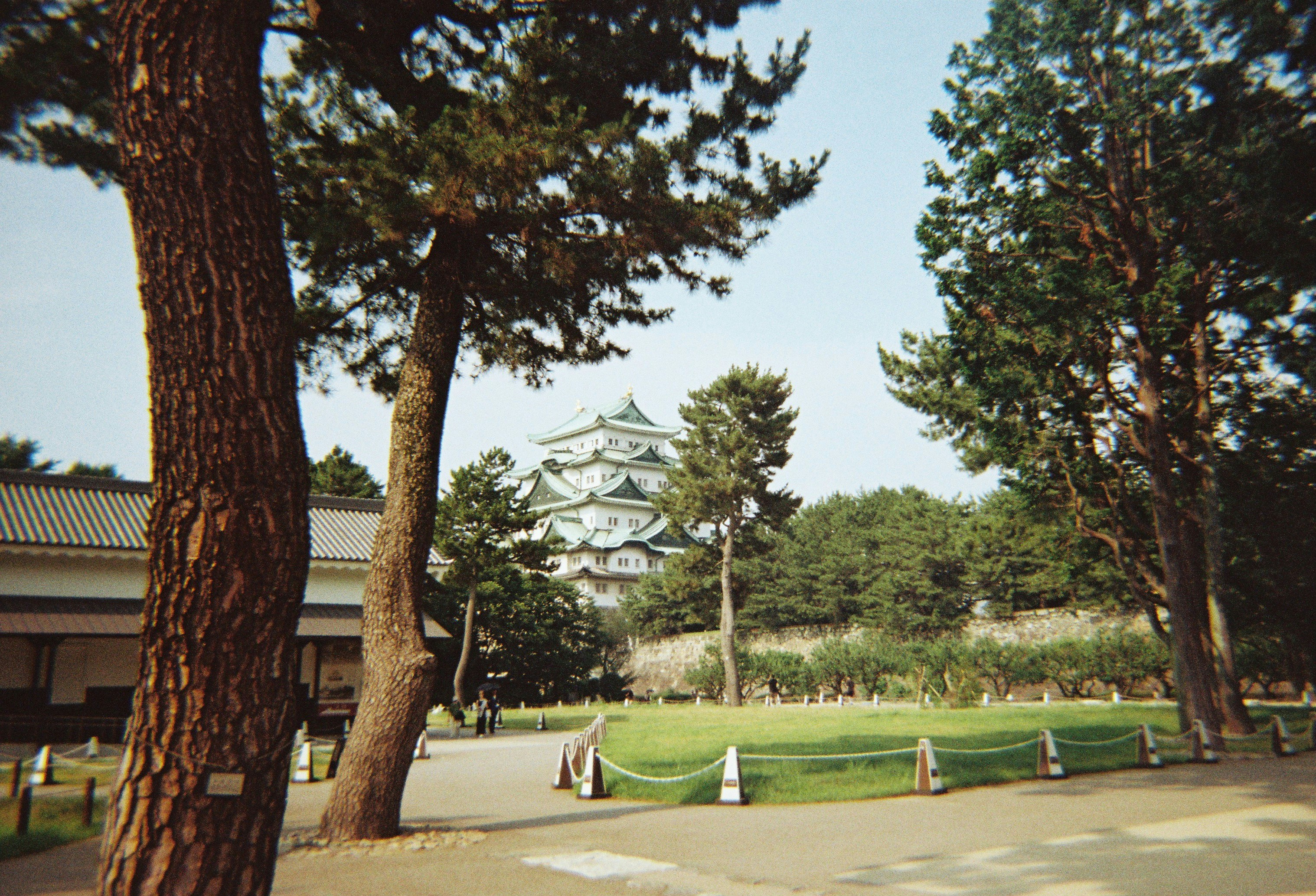 Castle in the Trees: A Quiet Japanese Park Scene