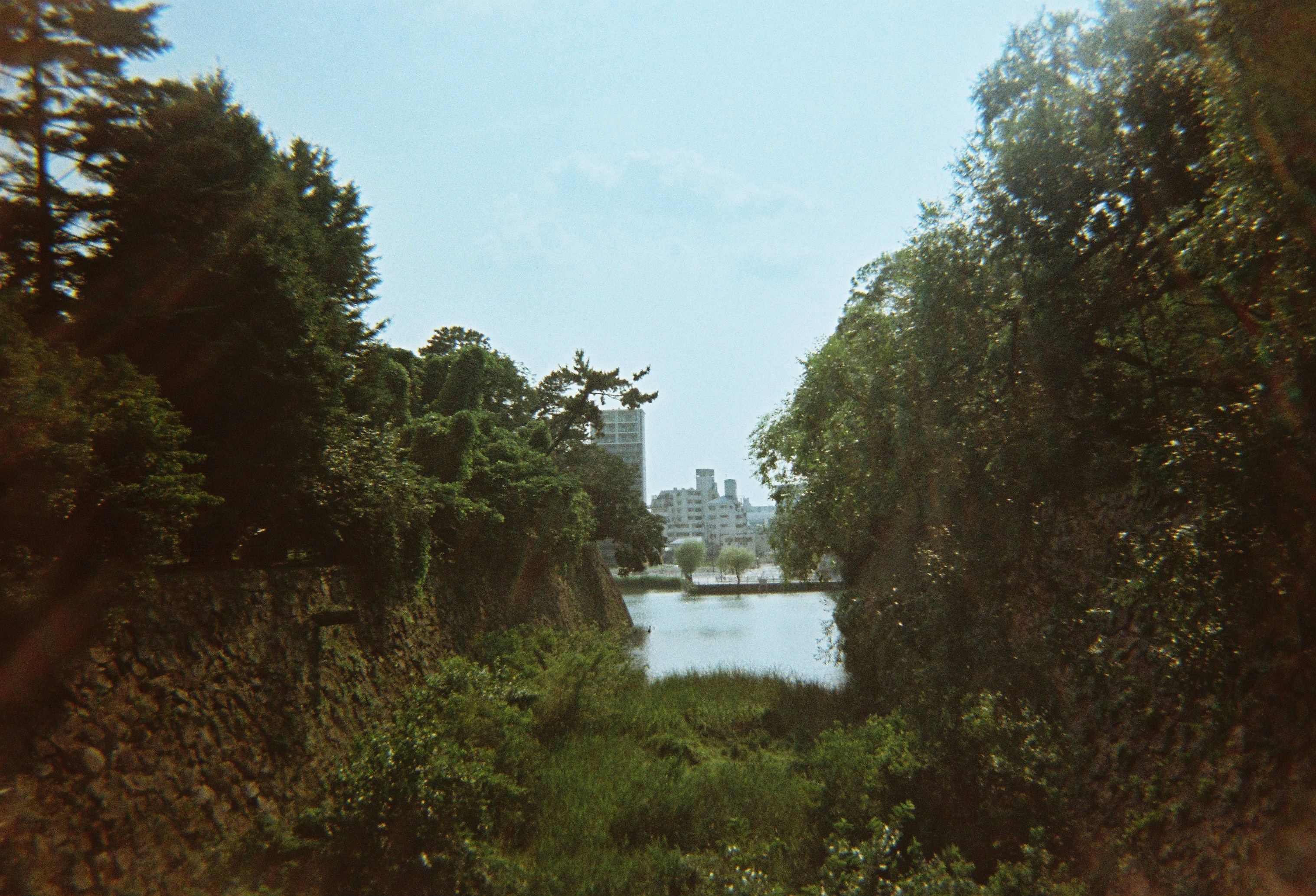 River Gap: Cityscape Framed by Green Corridor