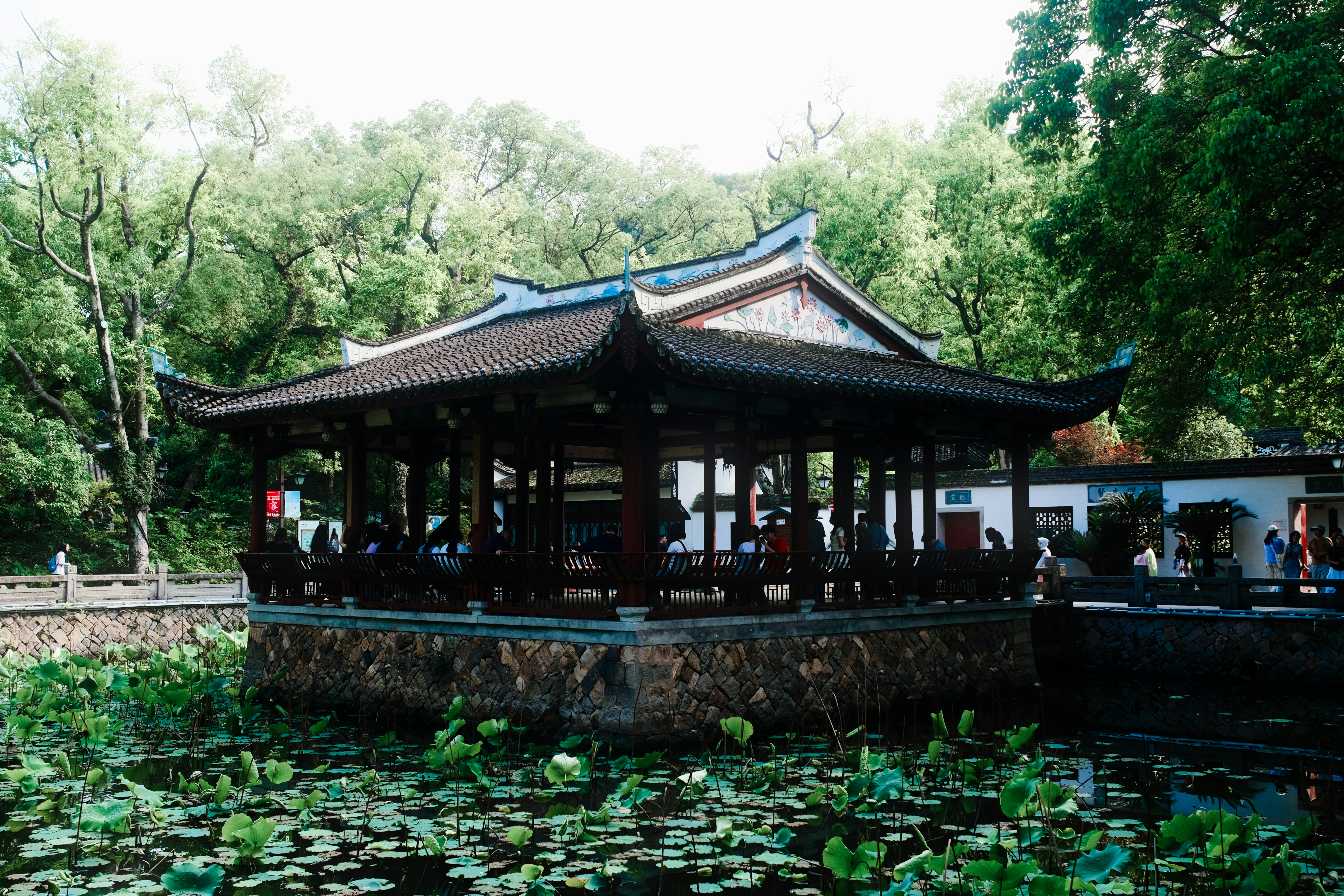 Quiet Pavilion Over Lily-Pond Waters