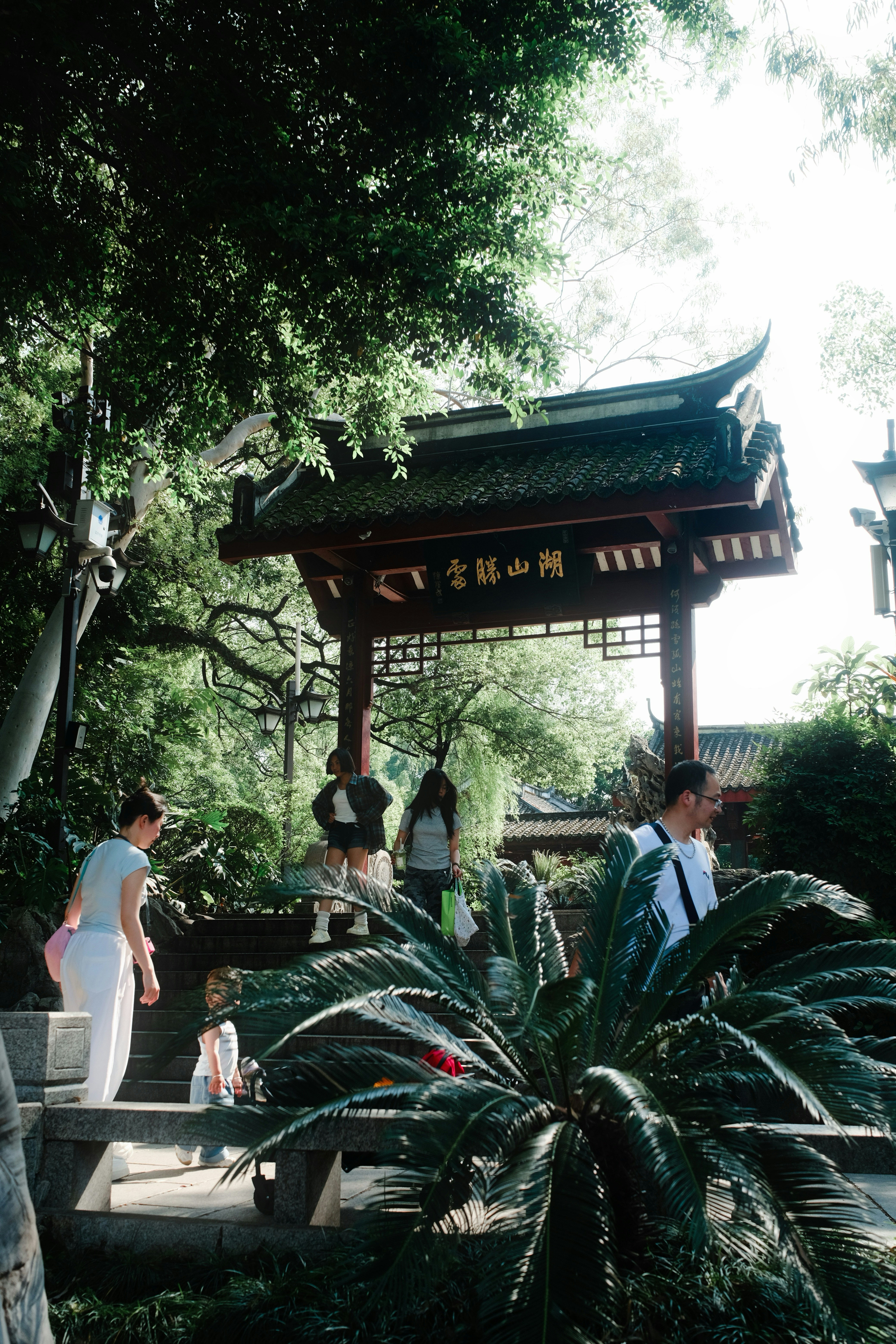 Temple Gate Amid Forest Canopy: Quiet Waiting Under Traditional Roof