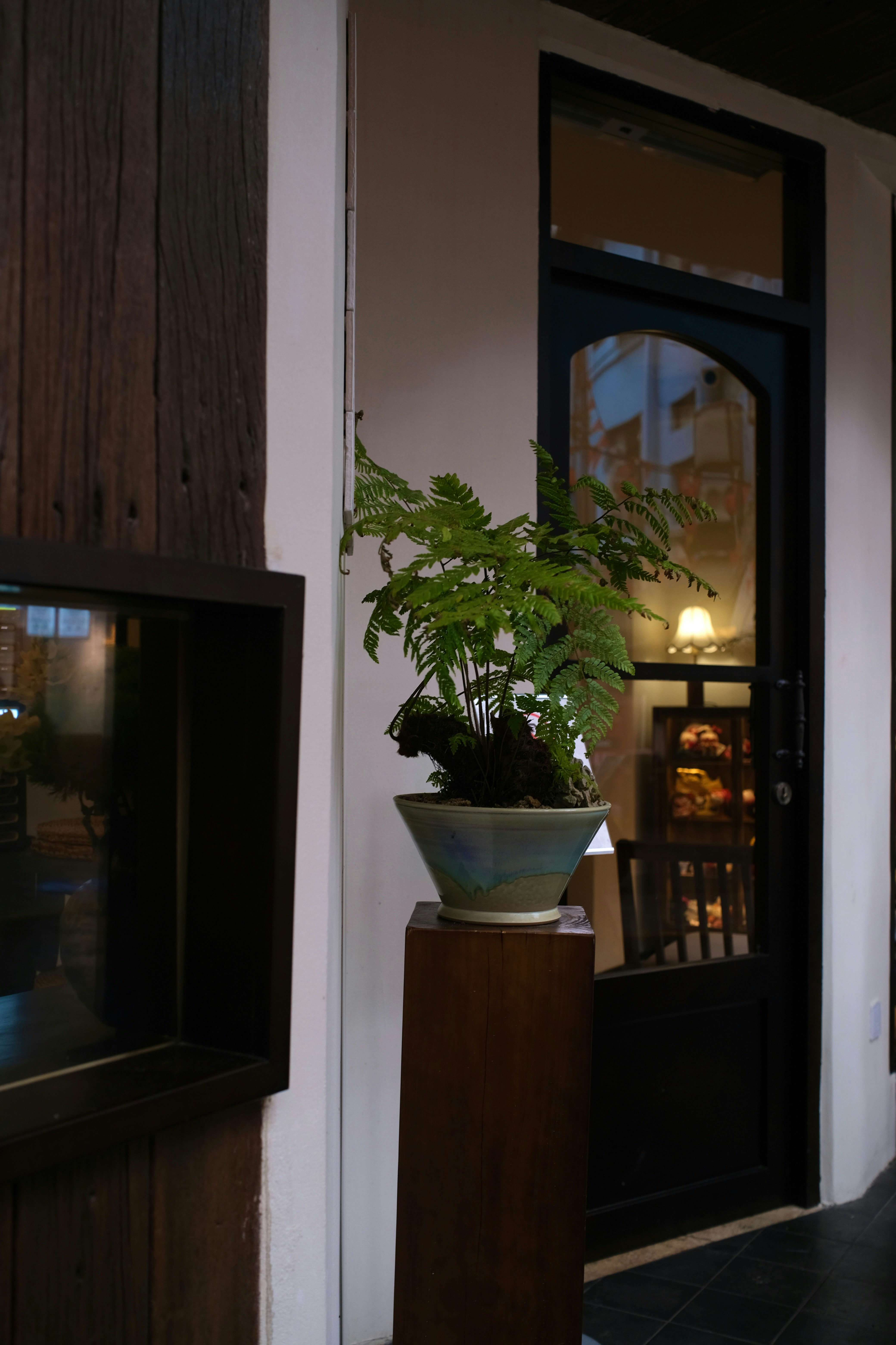 Fern on a Pedestal by the Doorway