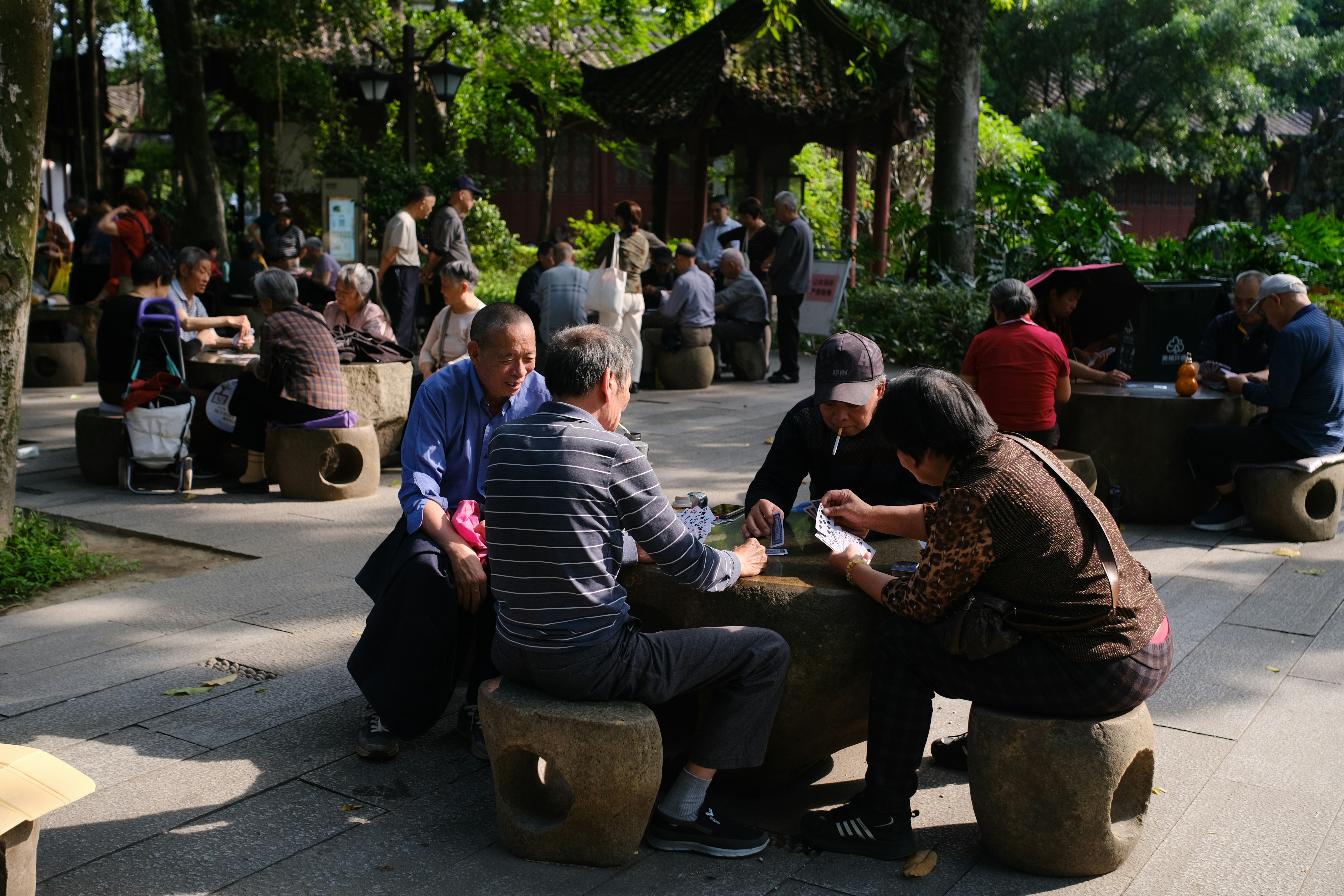 Evening Exchange: A Circle of Conversation on Stone Stools