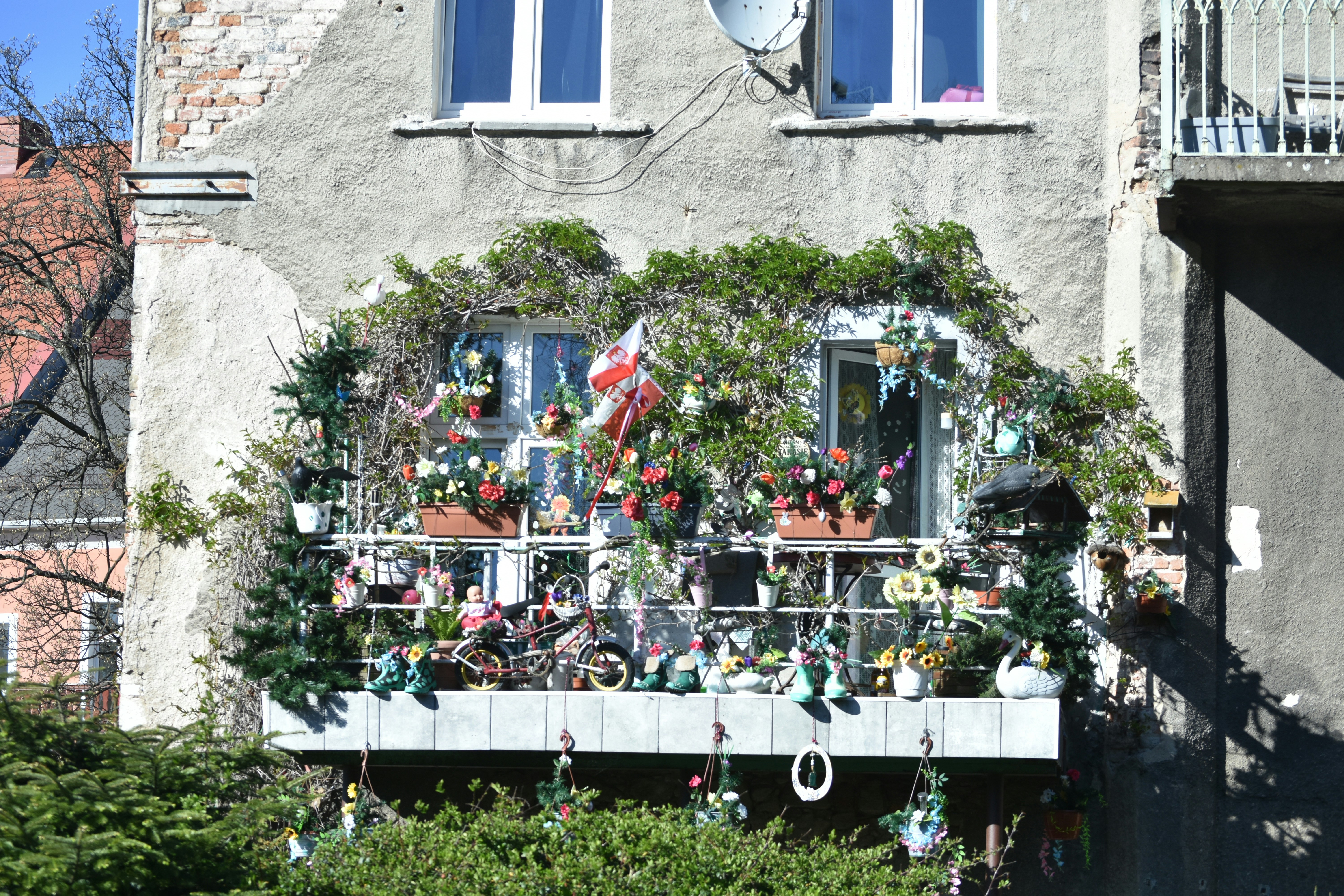 A Jubilant Balcony Garden Bursting with Flowers and Ornaments