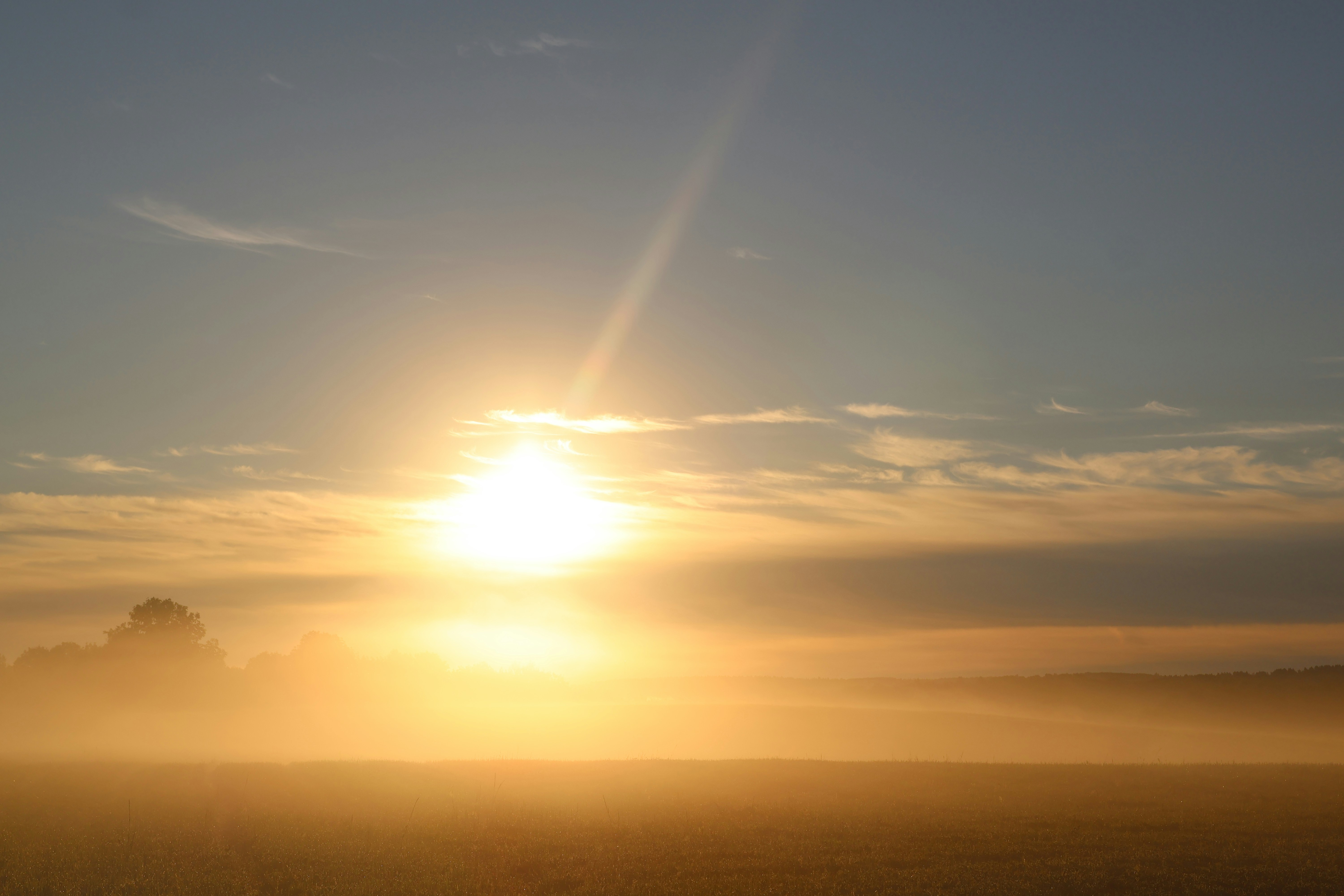 Sunrise Serenade Over a Misty Field