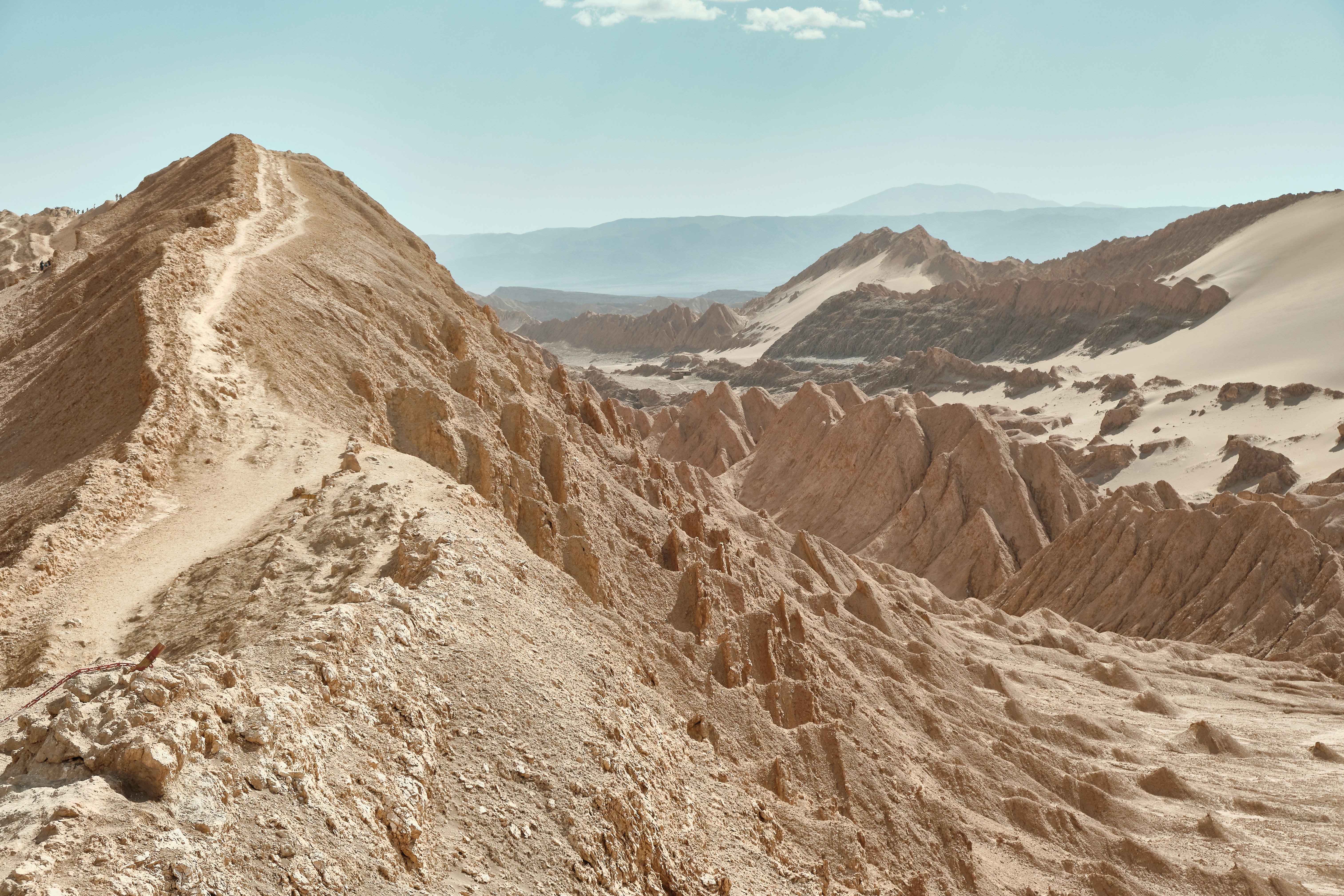 Desert Spine: Echoes of a Wind-Carved Ridge