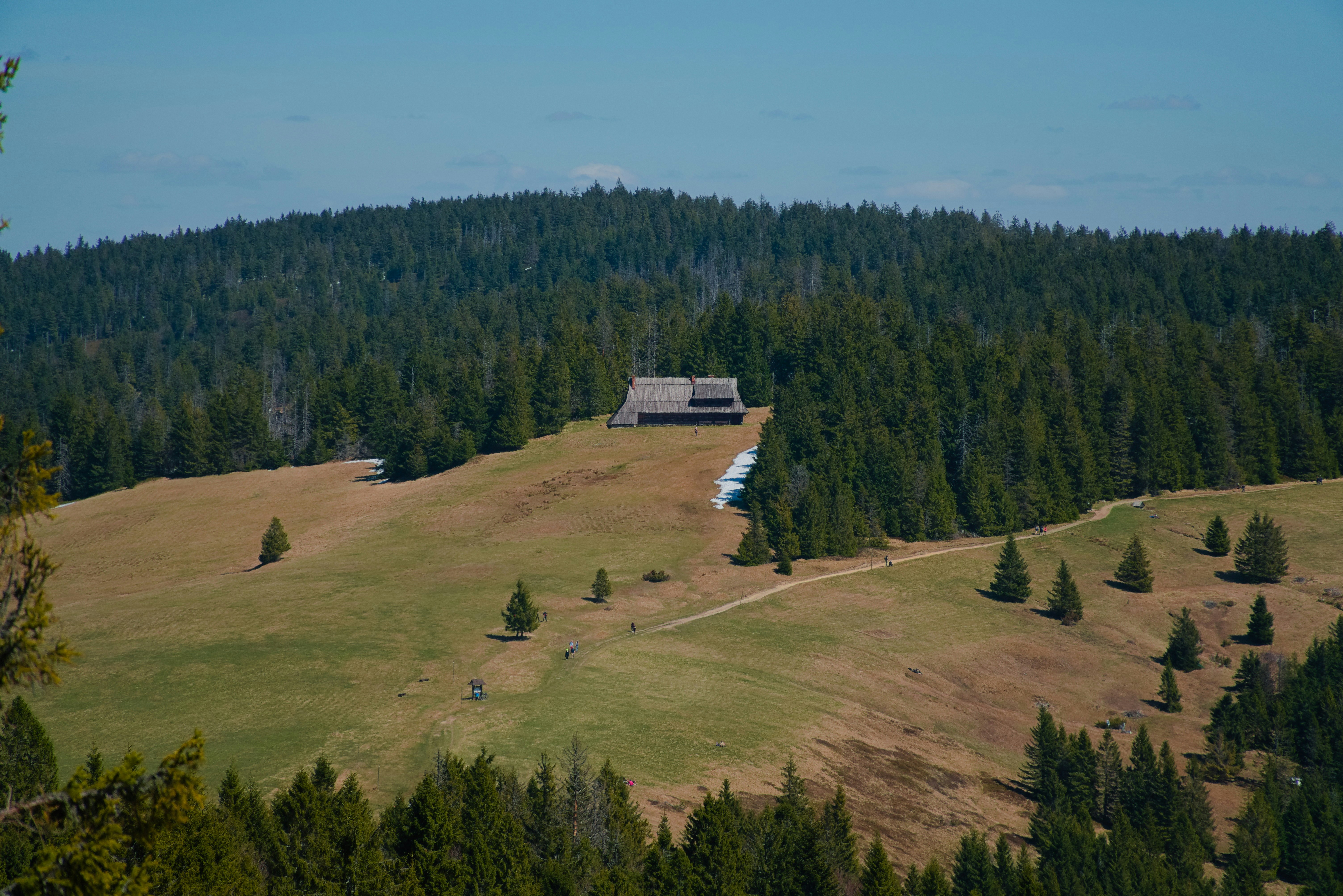 A Lone Cabin Crowned by a Pine-Swept Hill