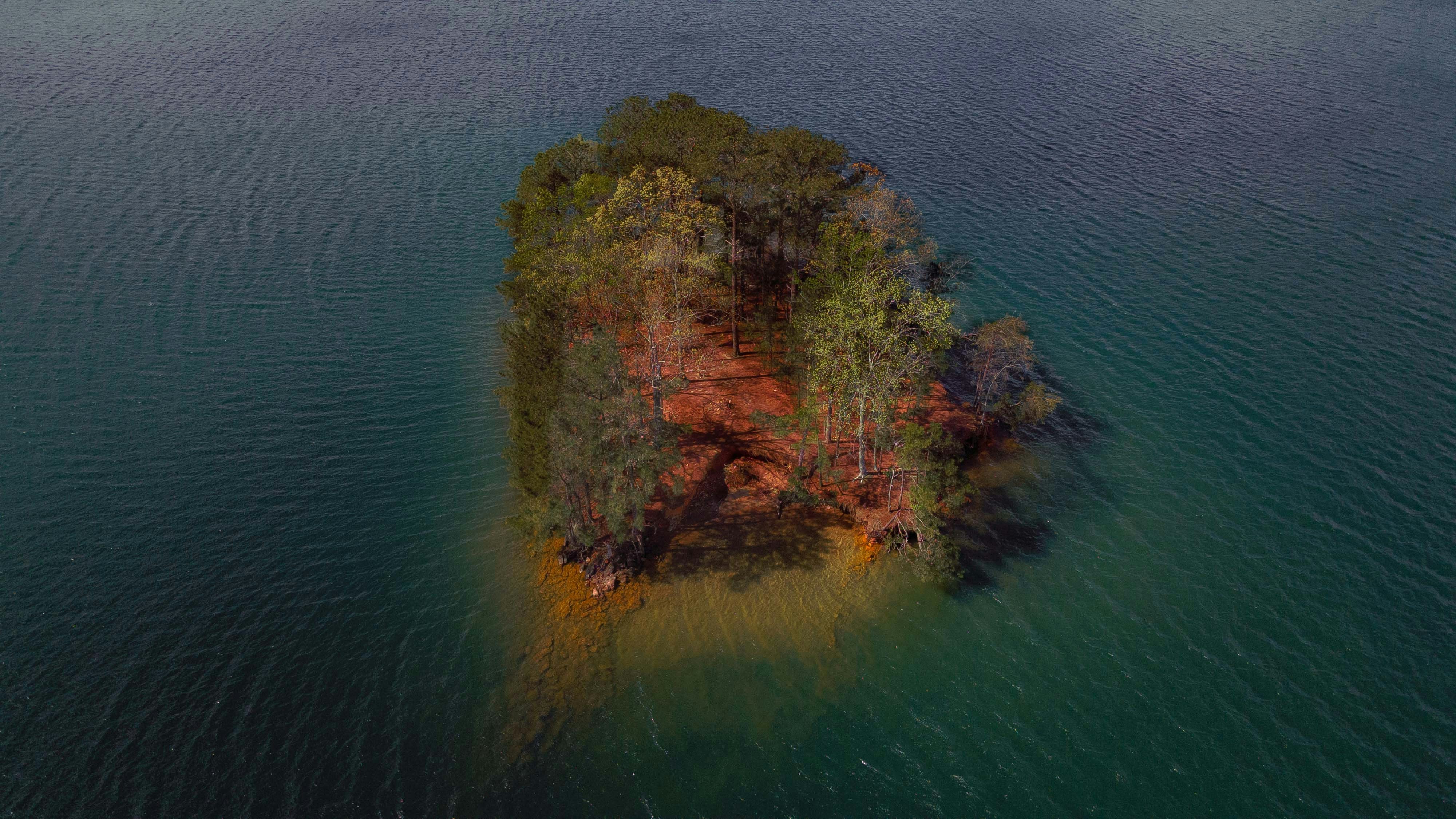 Floating Forest: An Isolated Island Breathes Under Quiet Waters