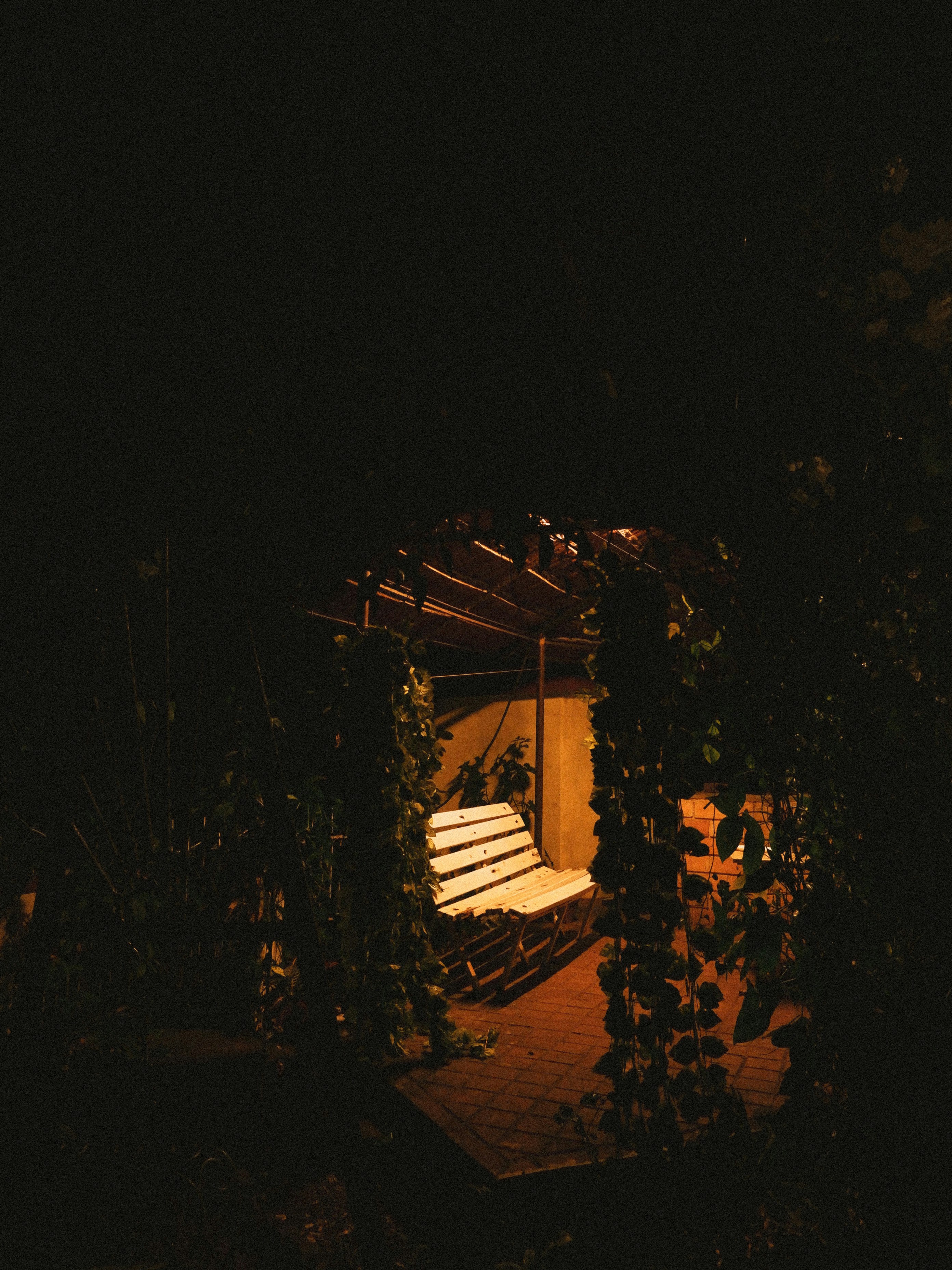 Night Porch: A Quiet Corner Beckons Beneath Vines