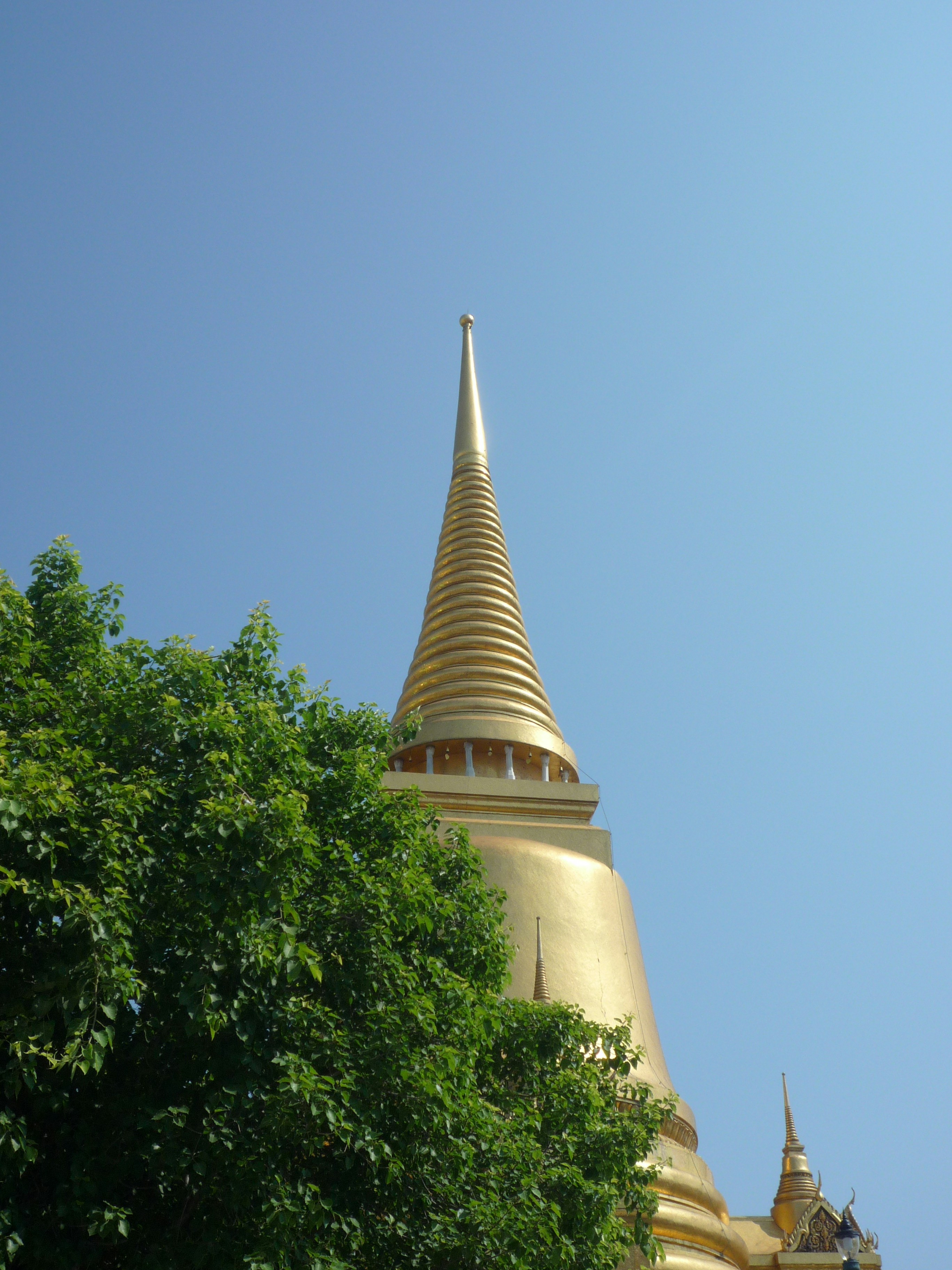 Golden Spire Rising Above Green Canopy