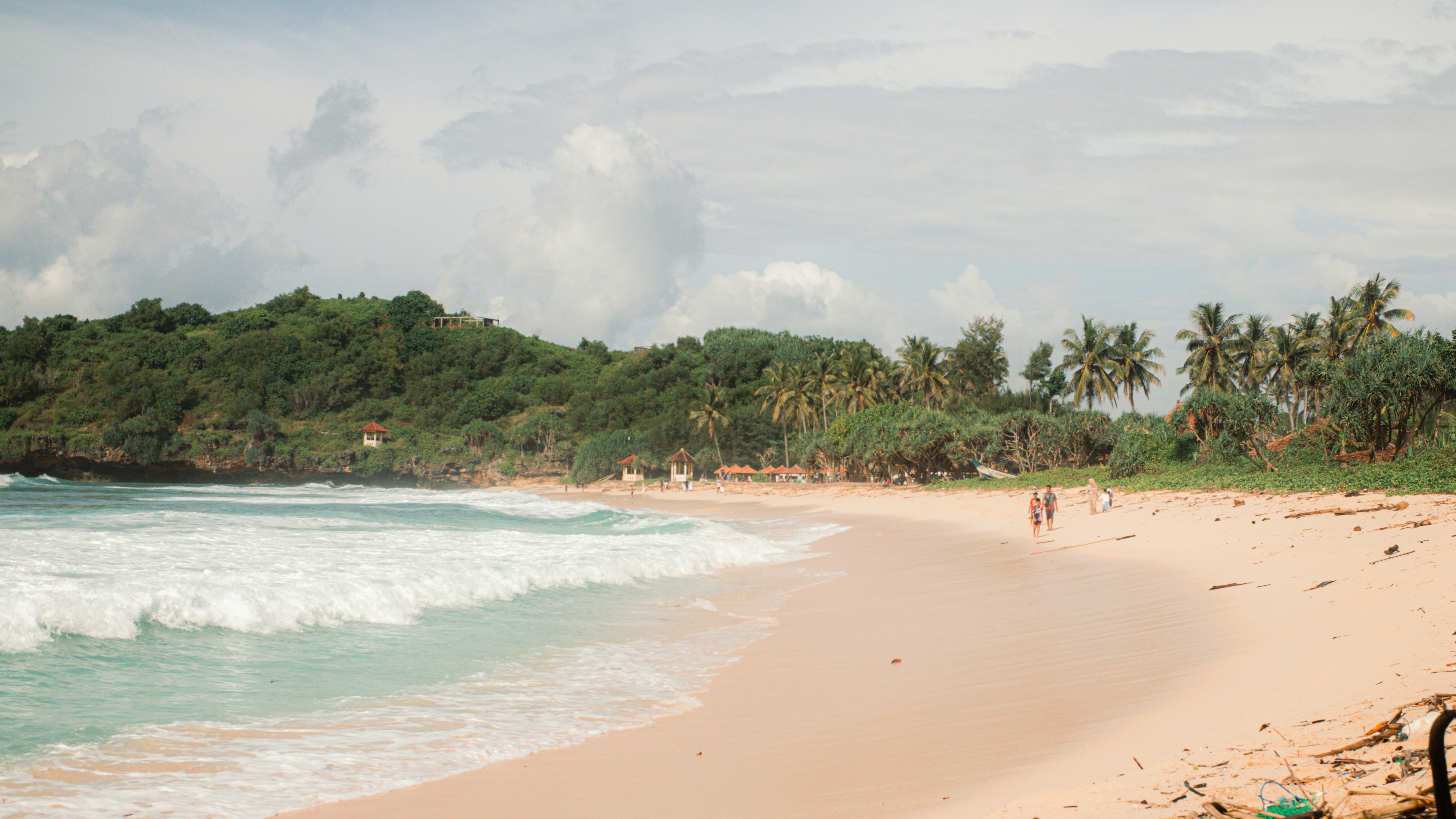 Sunlit Stretch: Palm-Fringed Shoreline and Gentle Surf