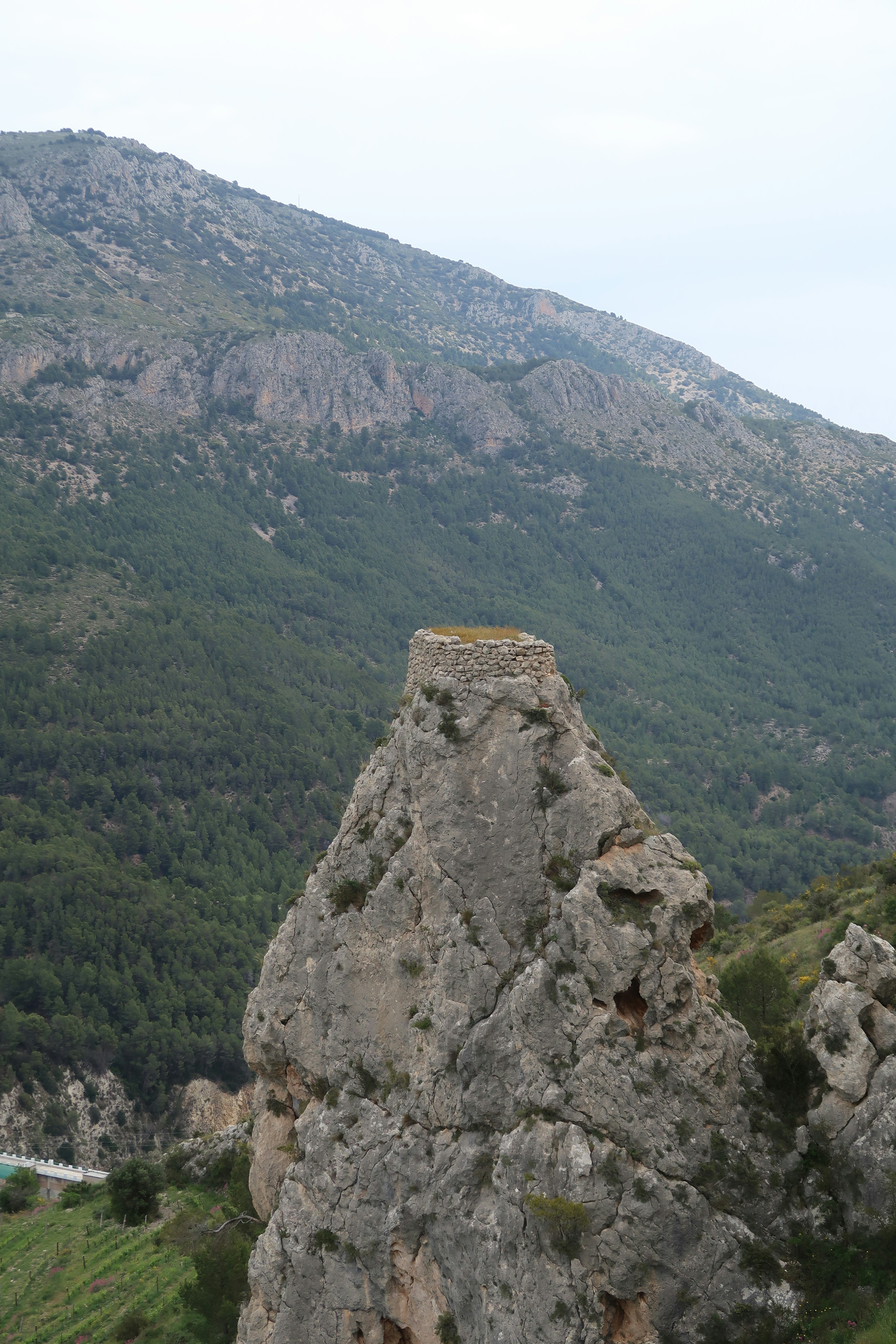 Castle atop the Peak: A Stone Needle Surrounded by Valleys