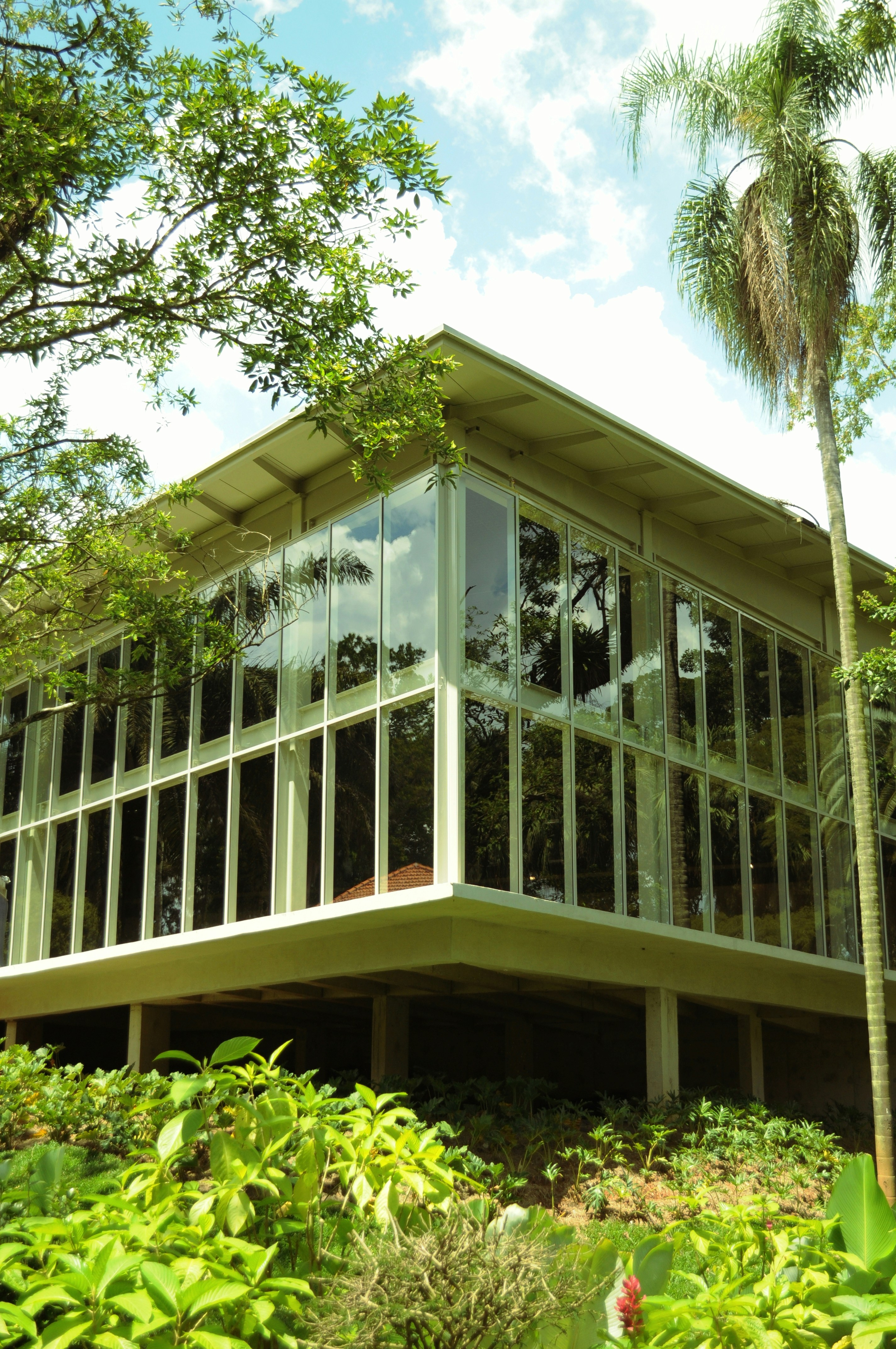 Glass-Cilled Modern Pavilion Amid Lush Tropical Setting