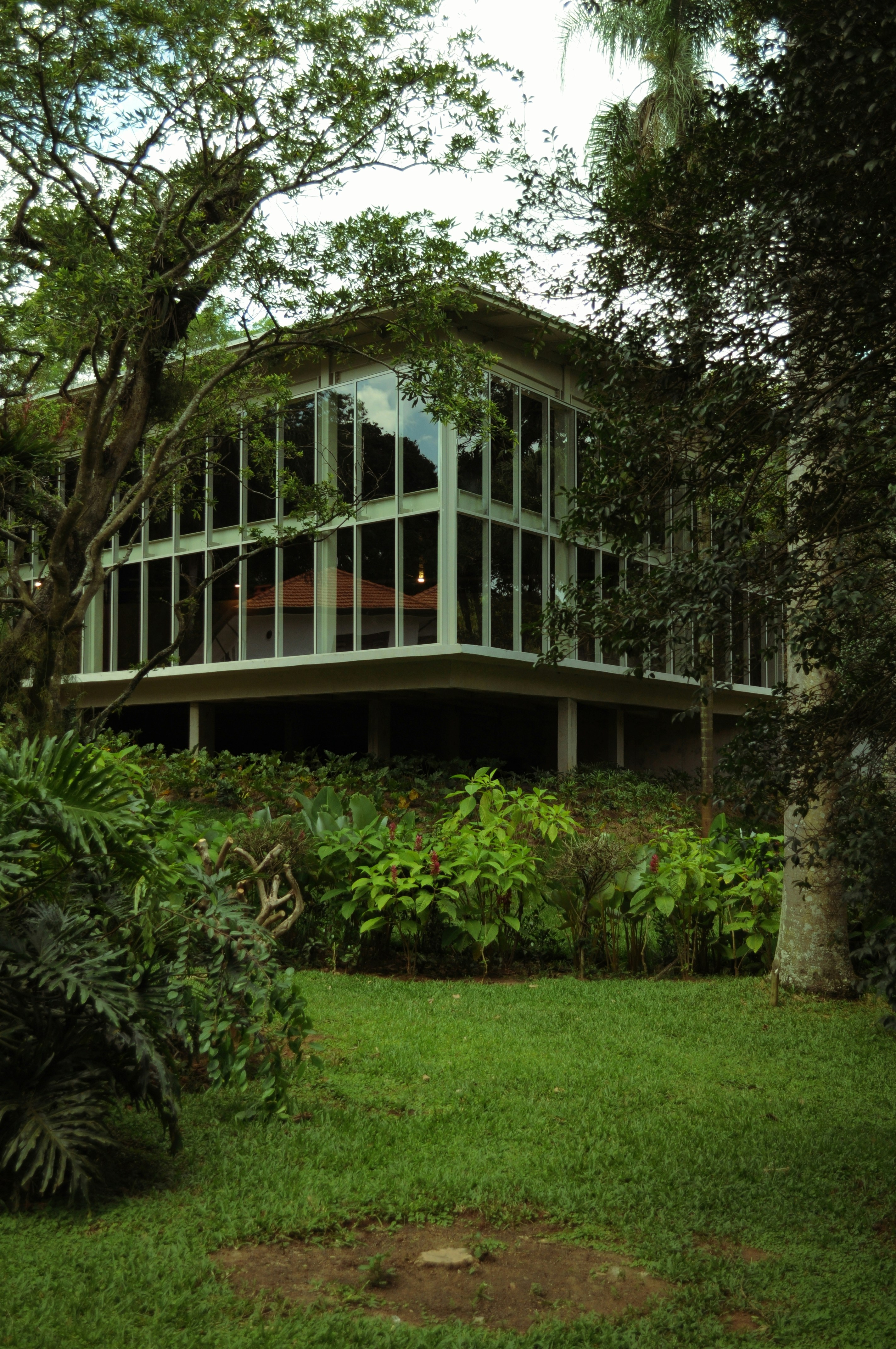 Glasshouse Retreat: A Modern Conservatory Nestled in Greenery
