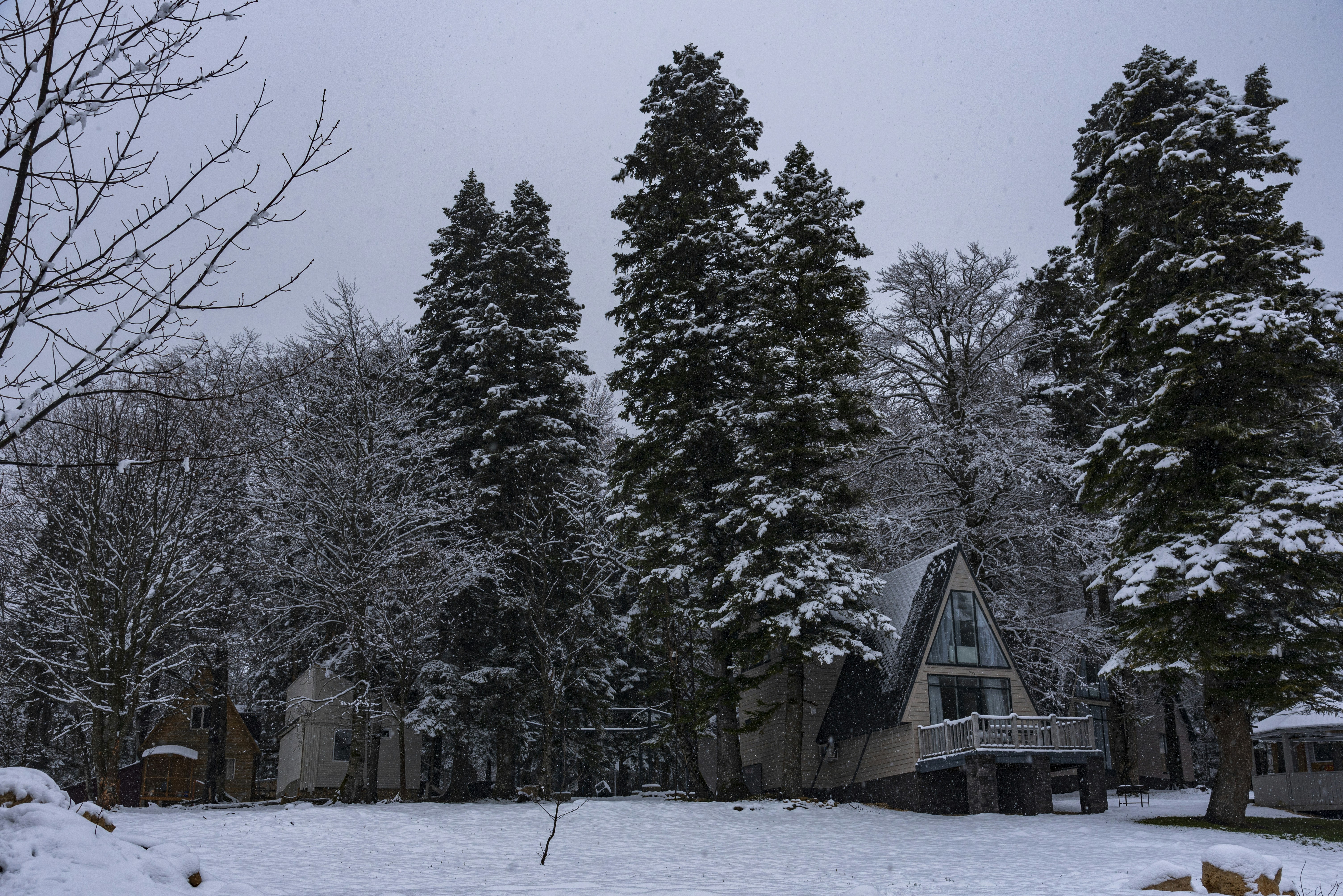 Snowbound A-Frame Village Amid Tallconifer Quiet