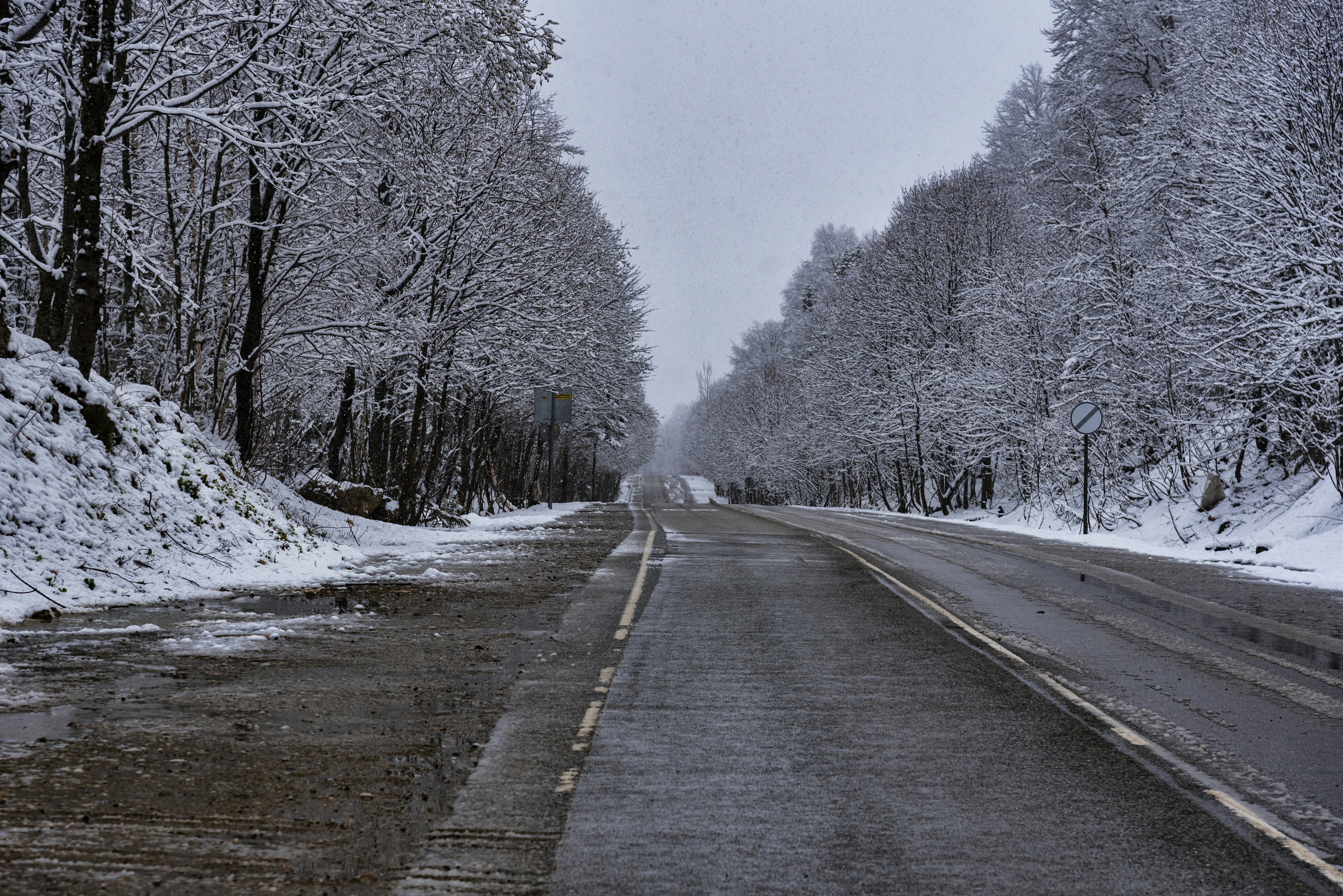 Snowbound Road to Quiet Horizon