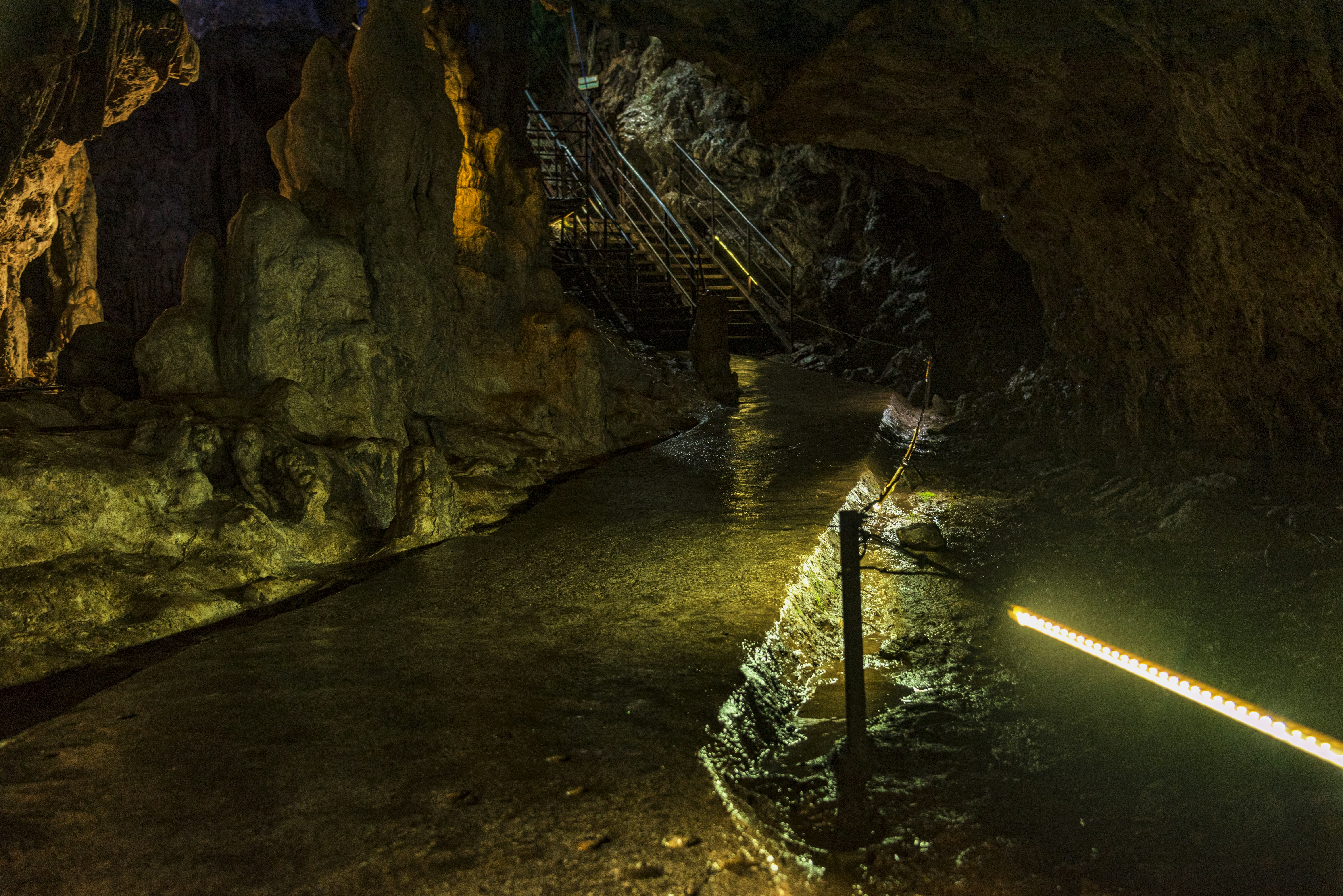 Luminous Path: An Echo Through the Cavern