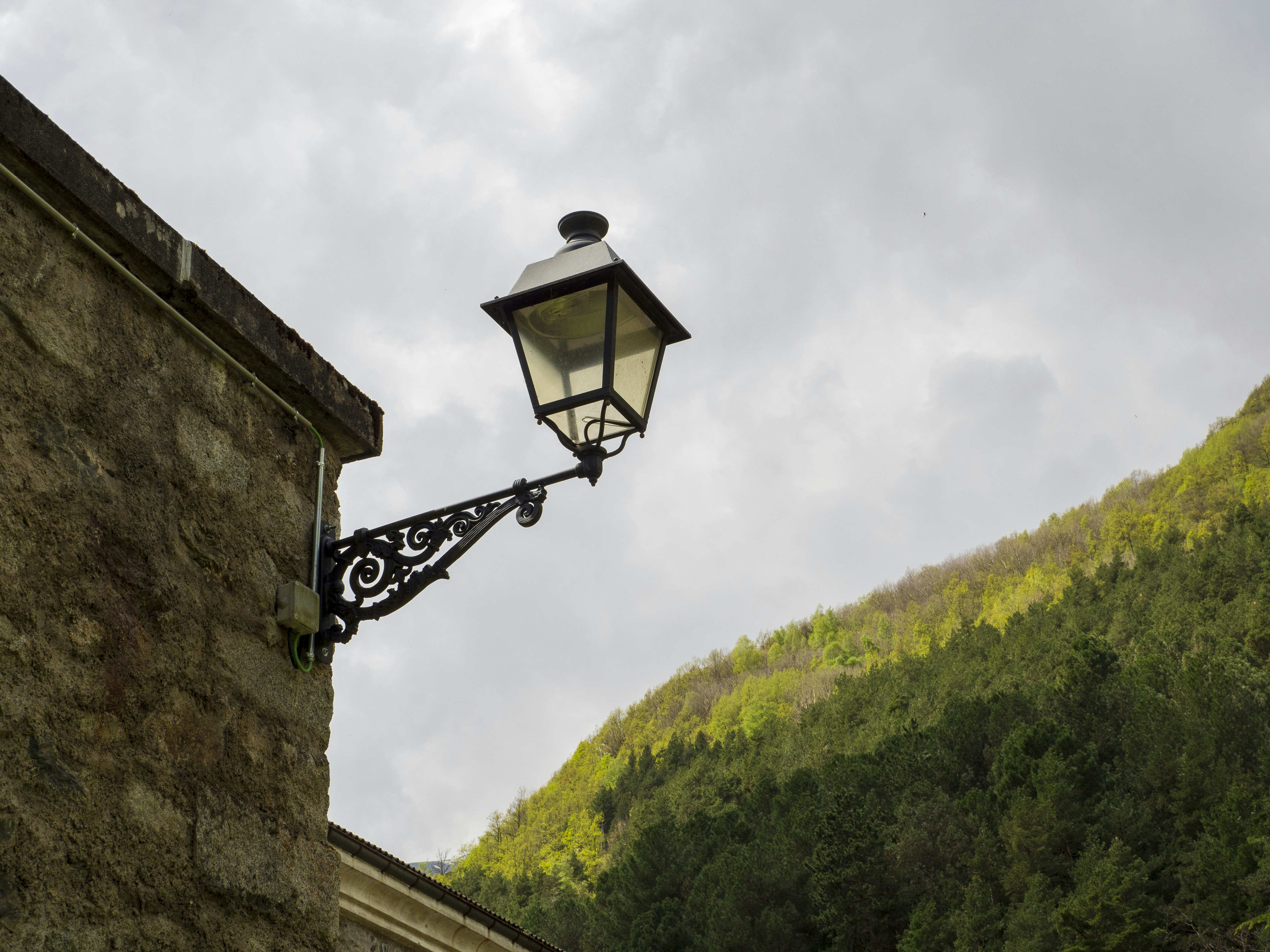 A Stone Lantern Gracefully Leans Over the Ridge