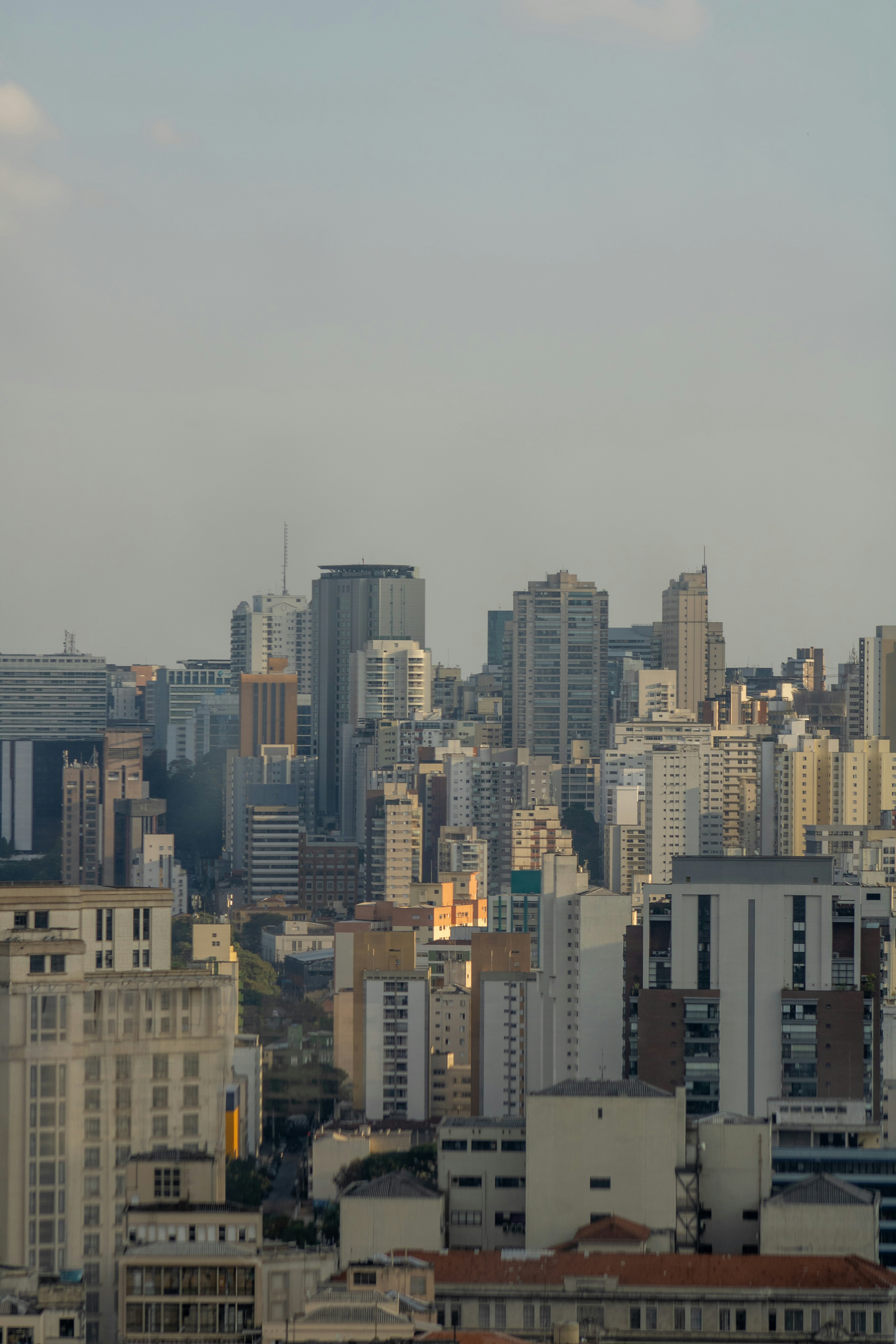Urban Horizon: A Quiet Rise of Glass and Steel