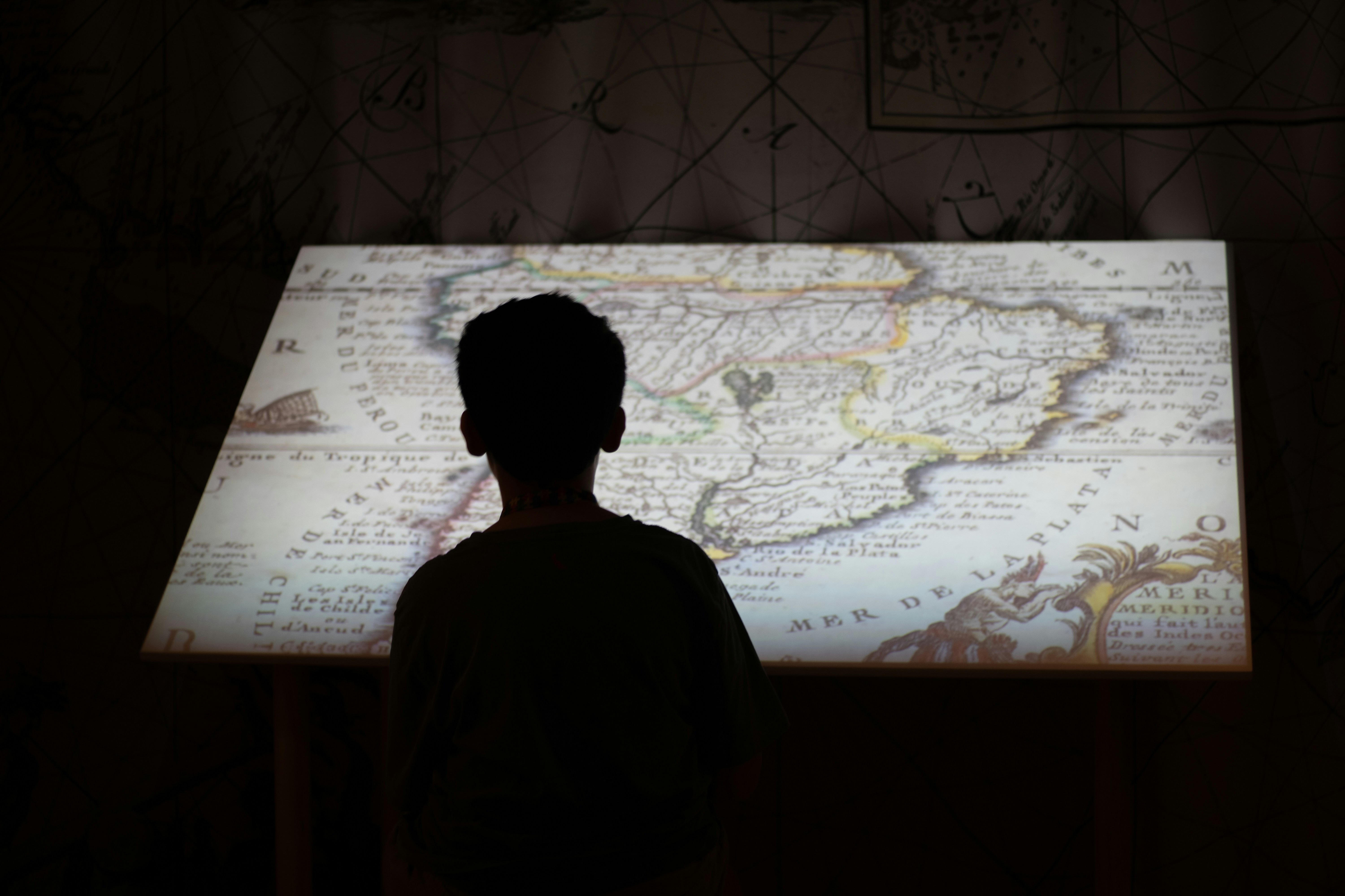 Silhouette Before a Voyage: A Reader of Maps in a Dim Gallery
