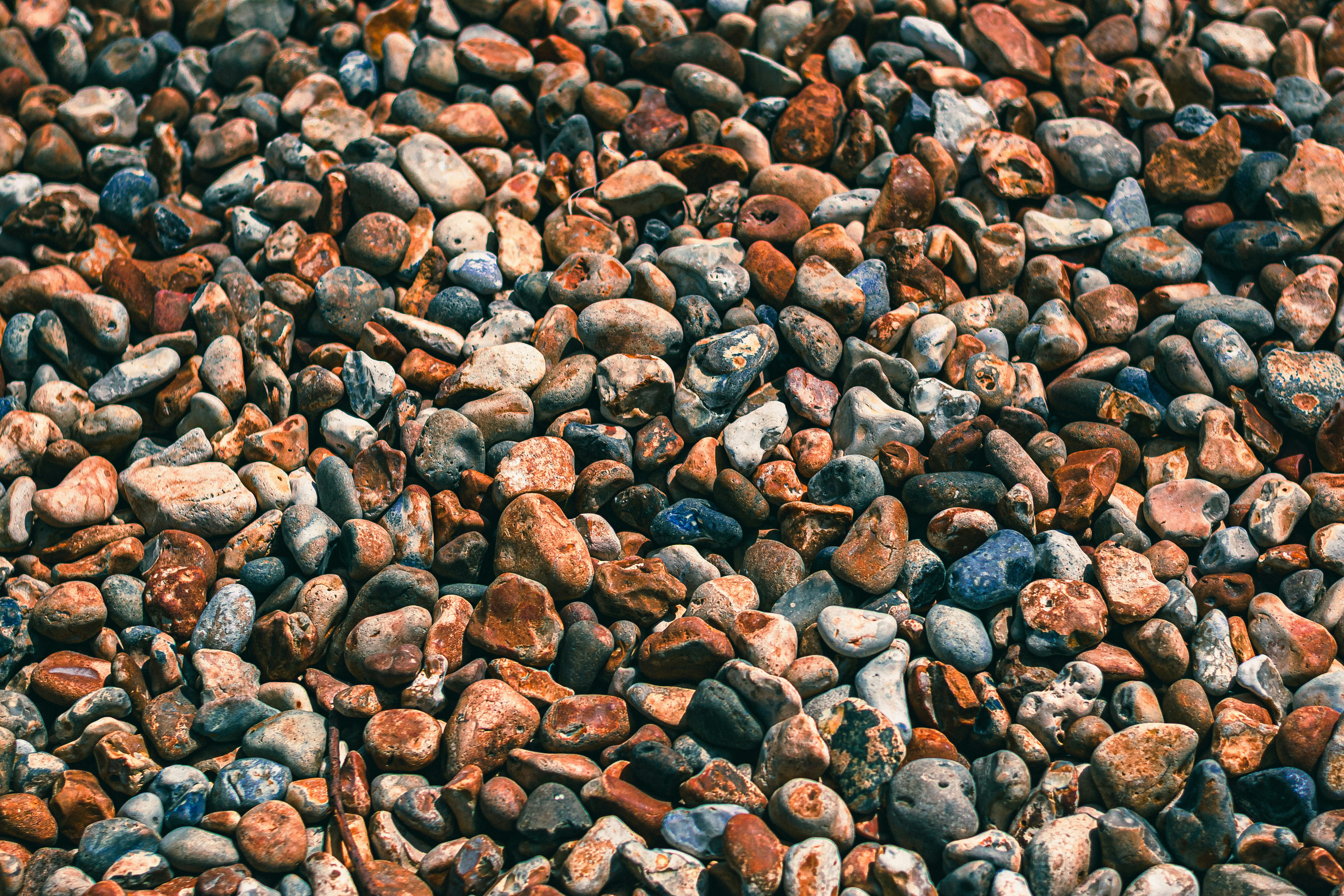 Pebble Mosaic: A Close-Up of Riverbed Stones