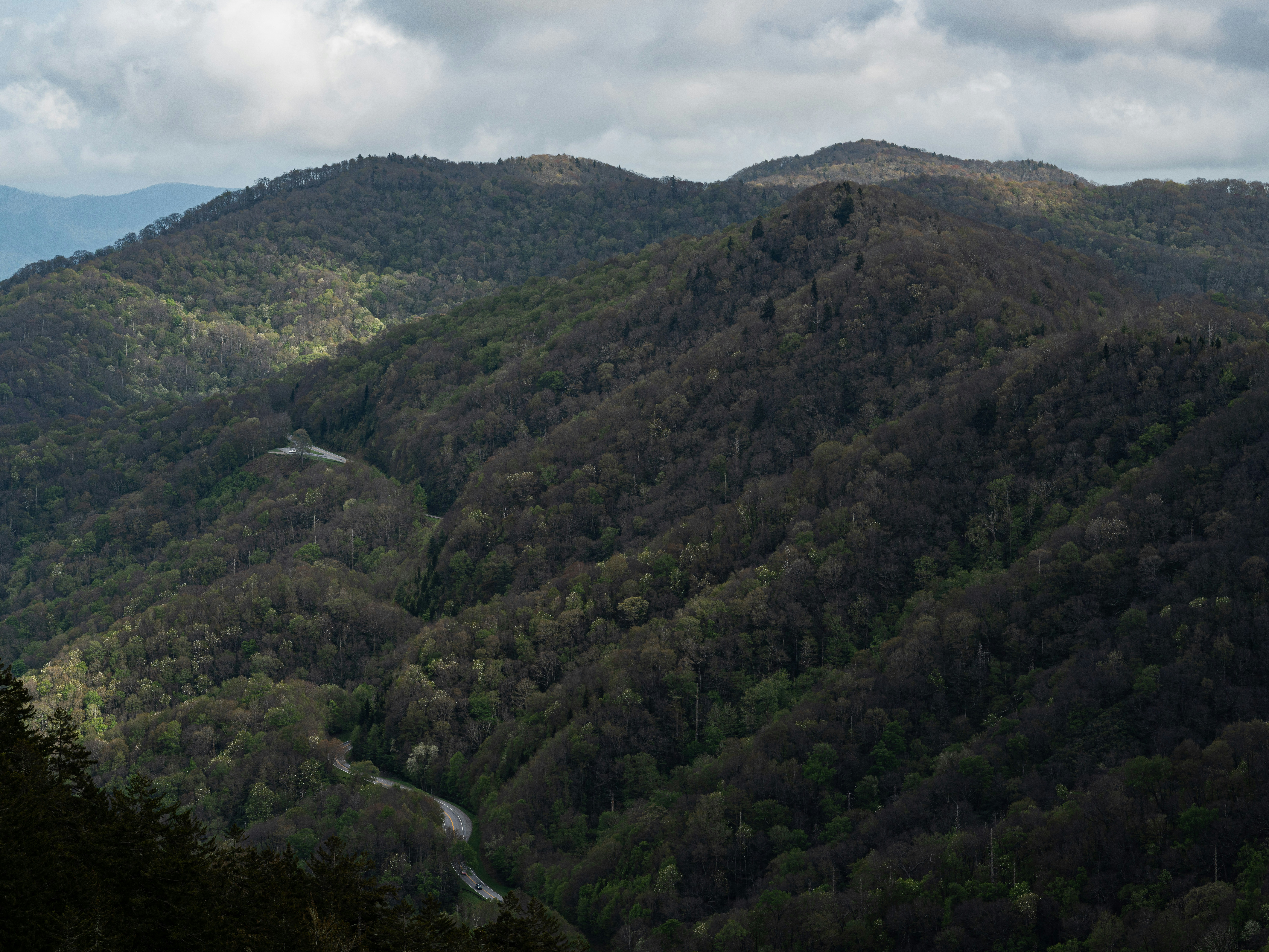 Misty Crest: A Winding Road Through Quiet Ridge