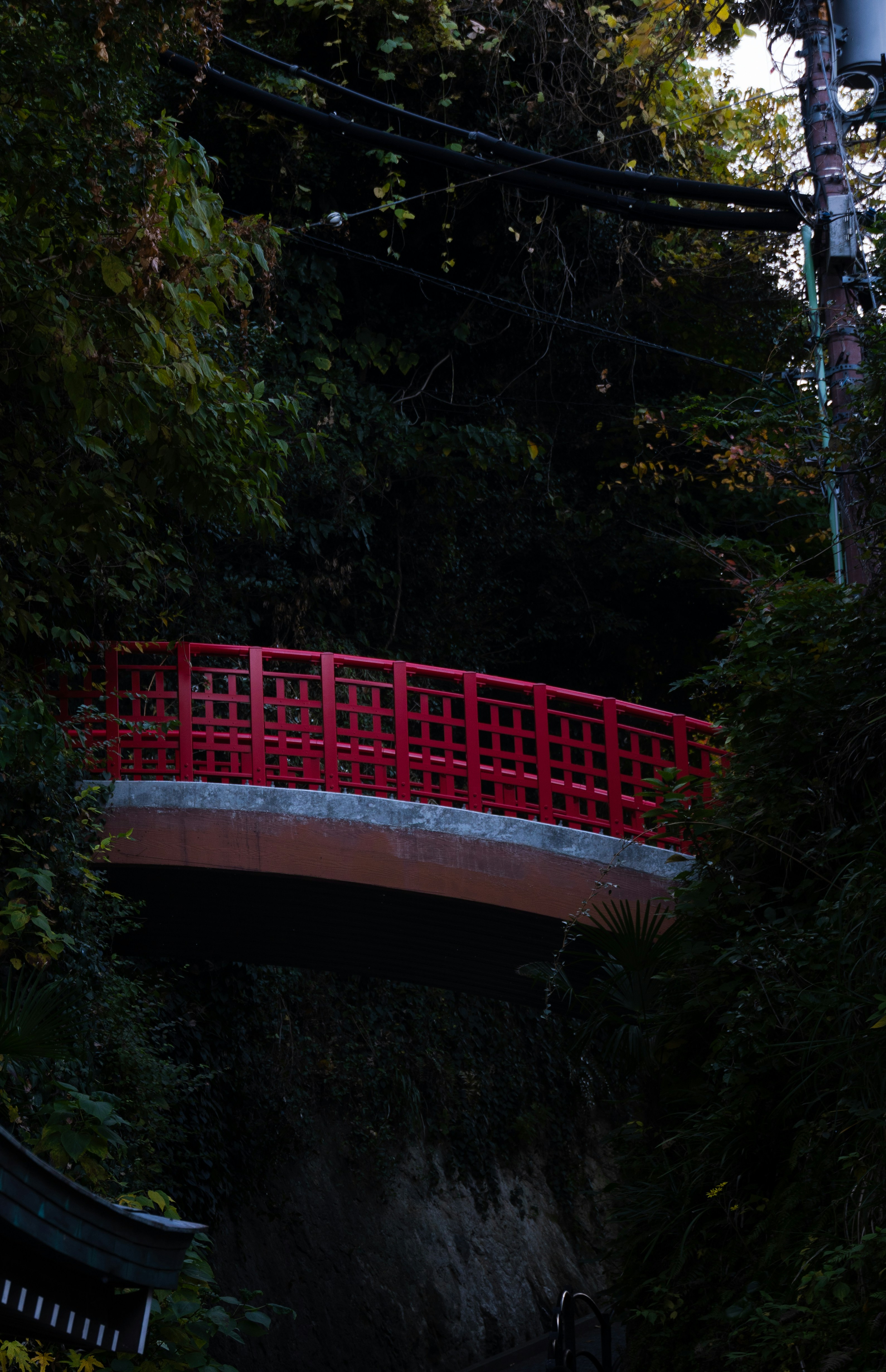 Red Gate Over the Gorge: a Quiet Bridge in a Shadowed Canyon