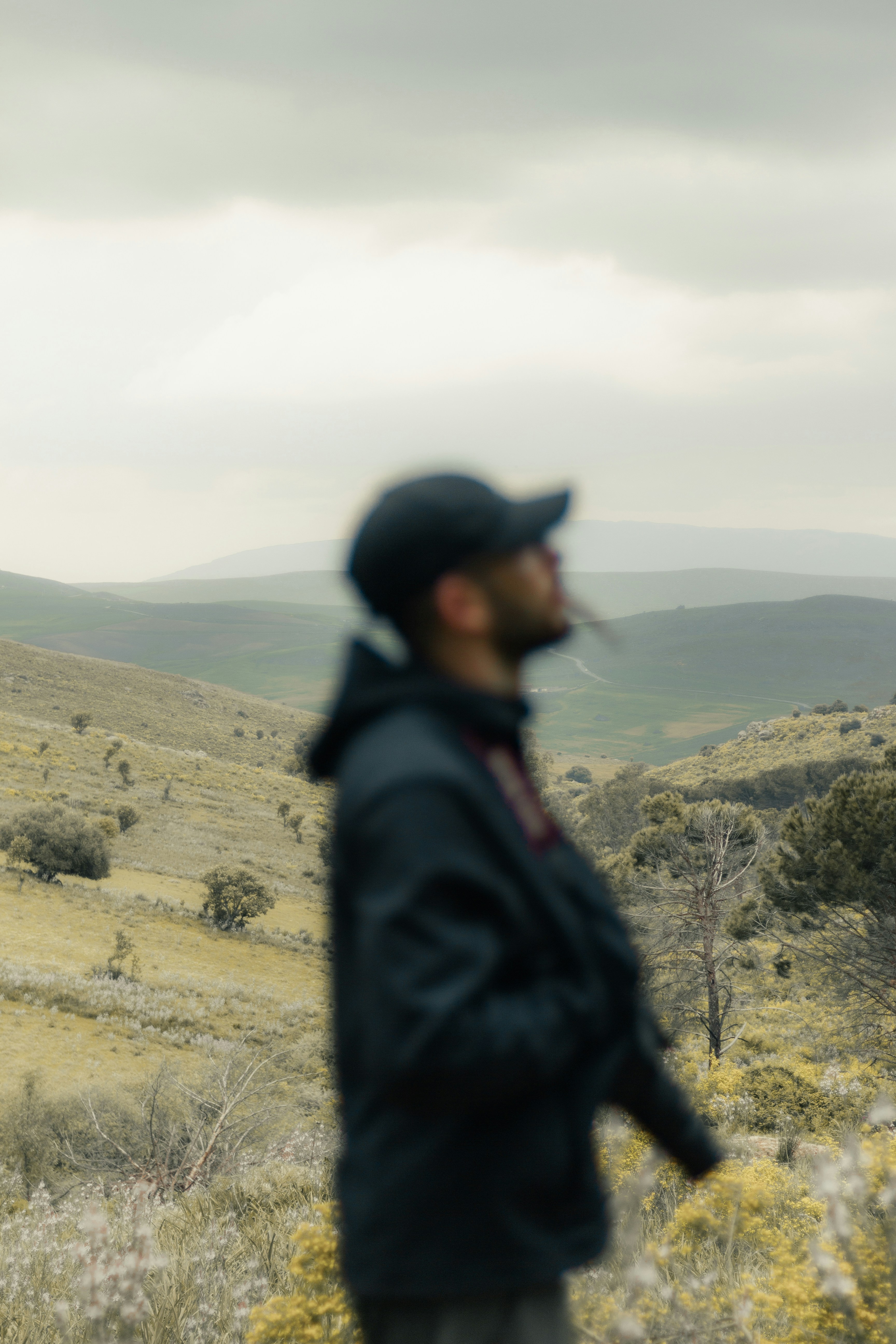 Horizon Gaze: A Quiet Moment in Wind-Swept Hills