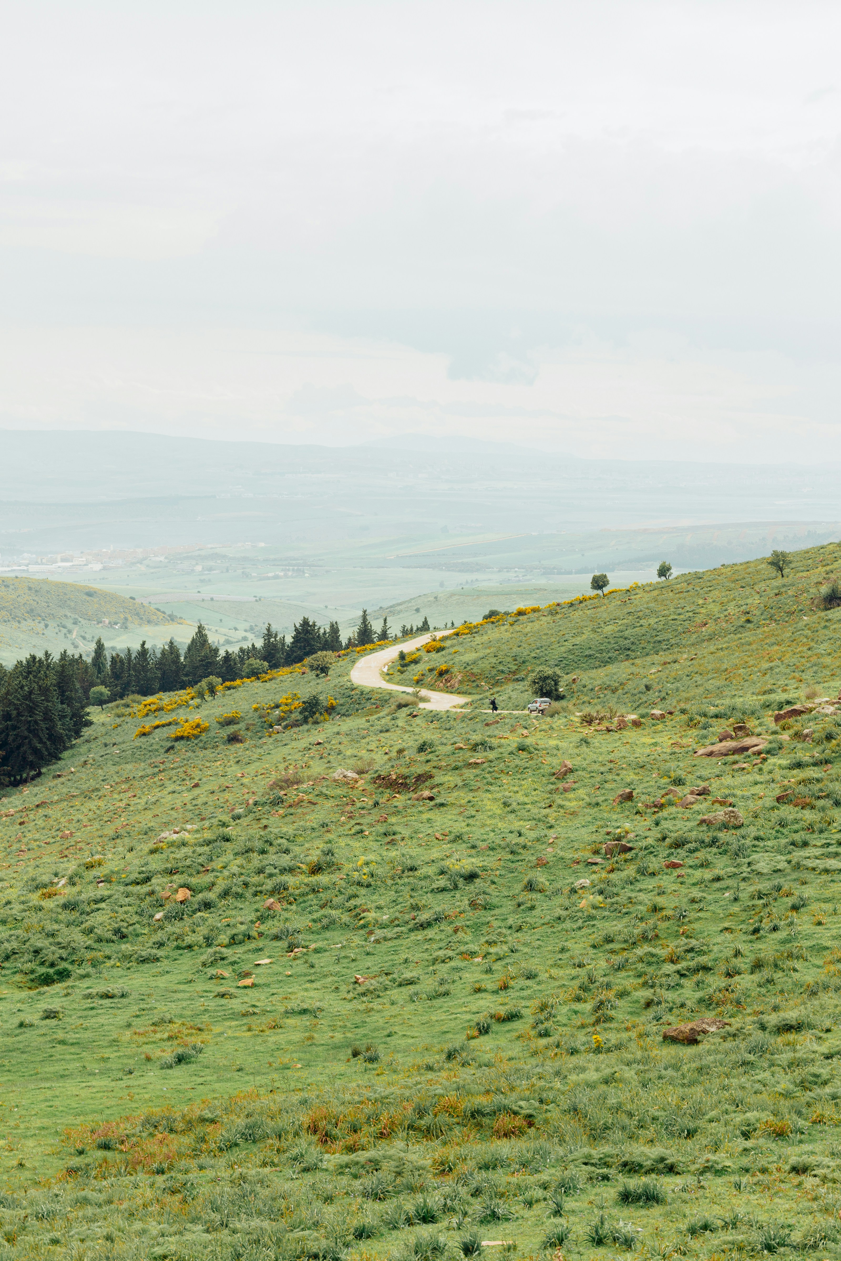 Winding hillside Road through a Misty Pedigree of Hills