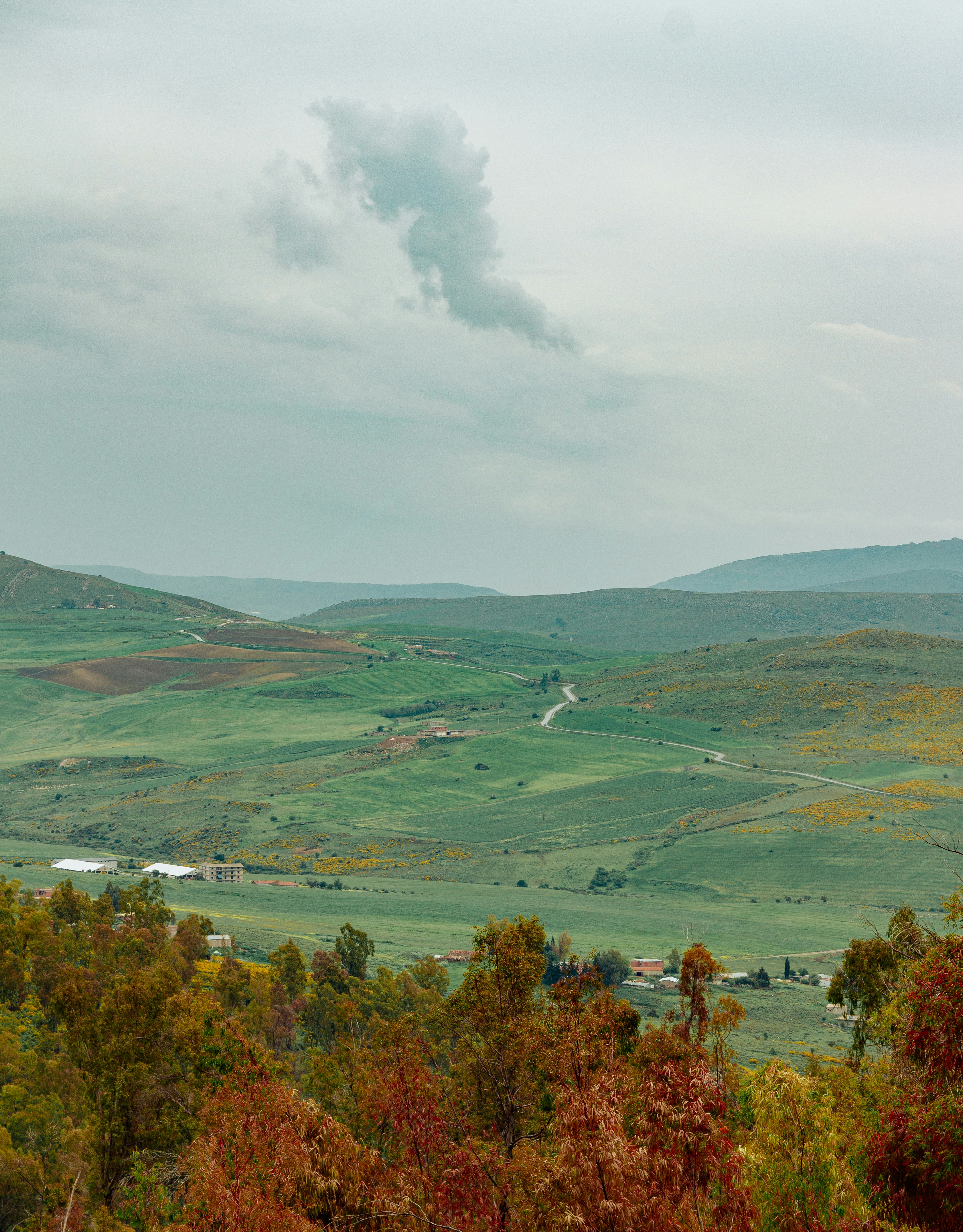 Meandering Road through Rolling Valleys under a Quiet Sky