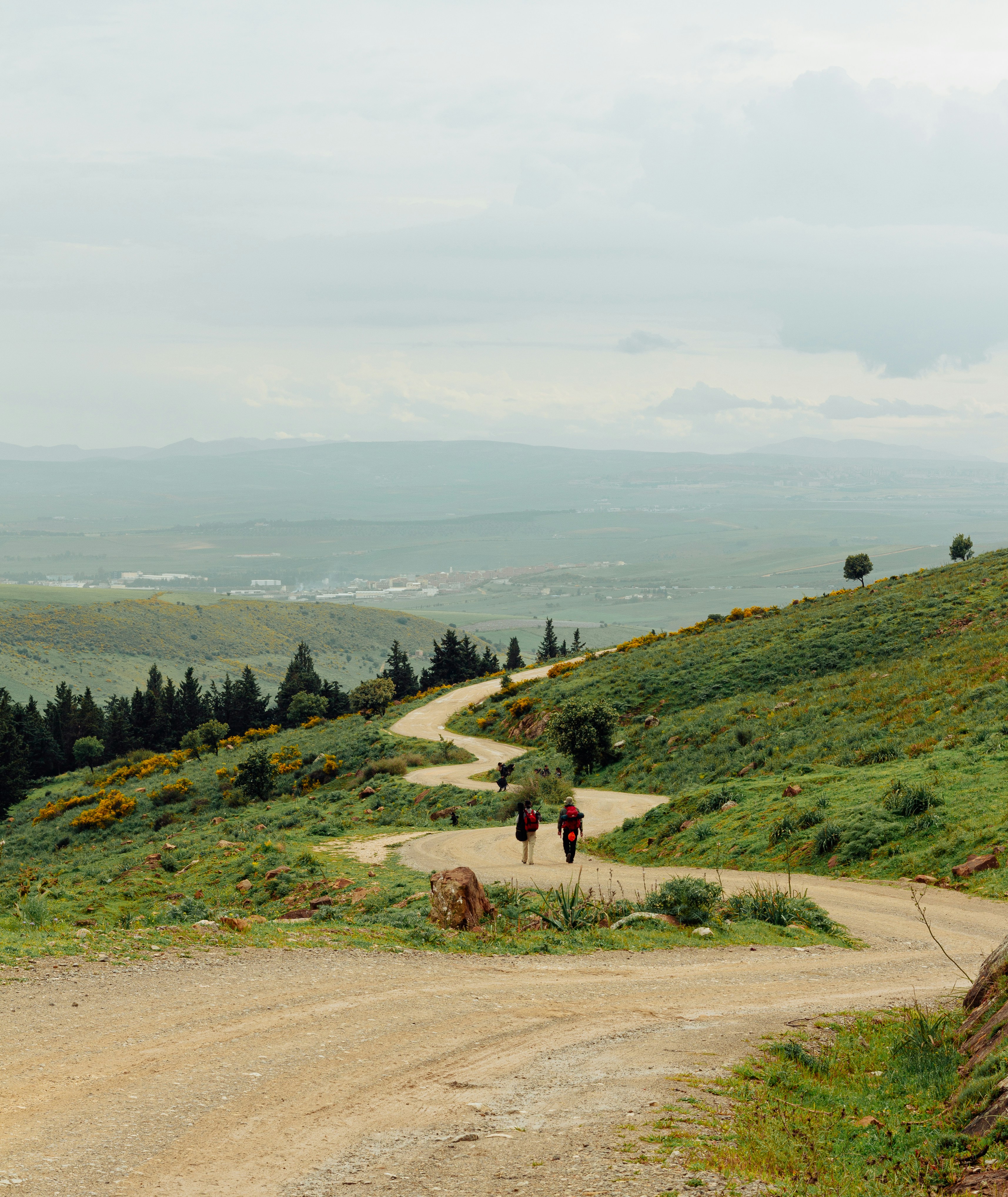Winding Trail Wends Through Hillscape