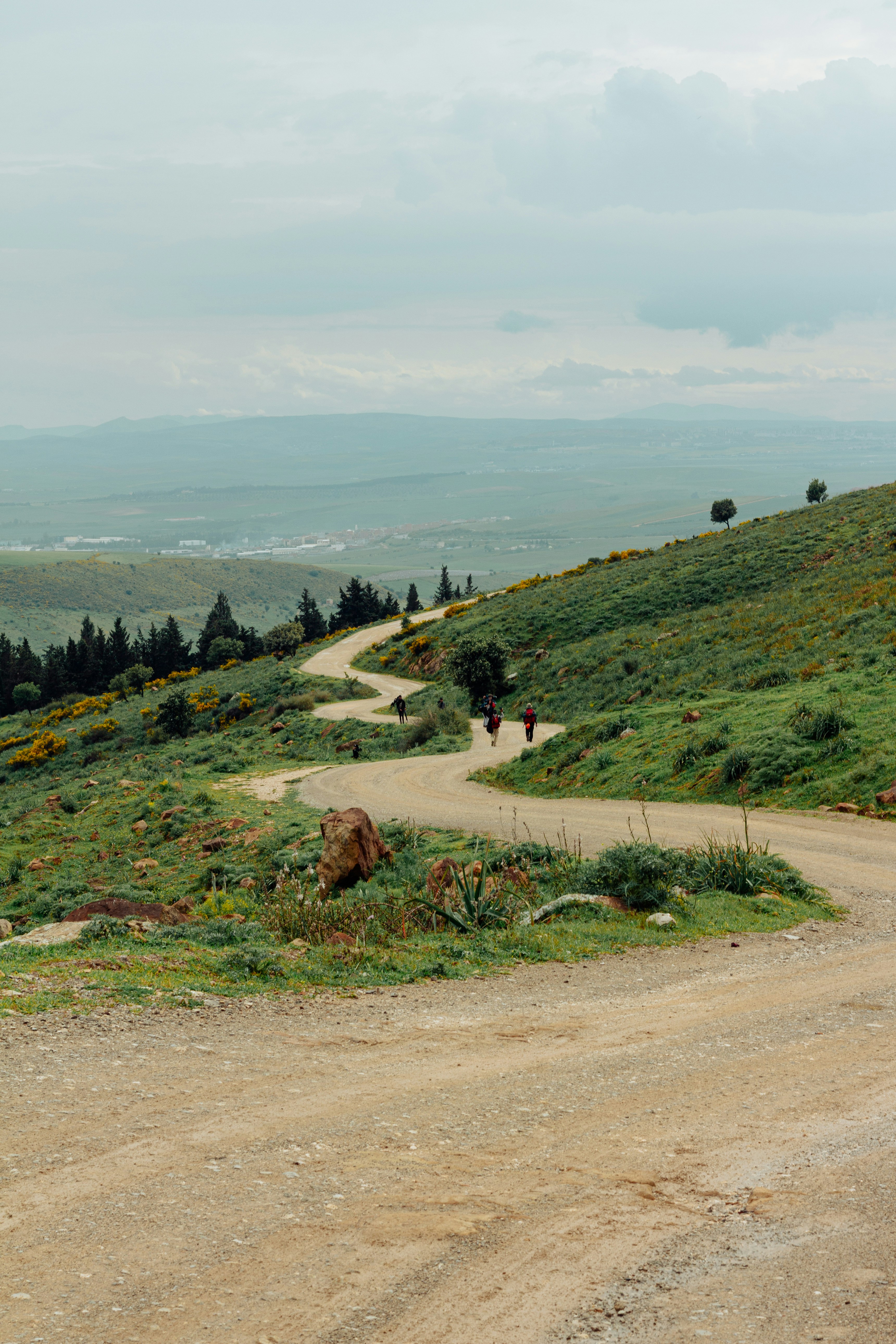 Winding Path Through Green Hills Under a Quiet Sky