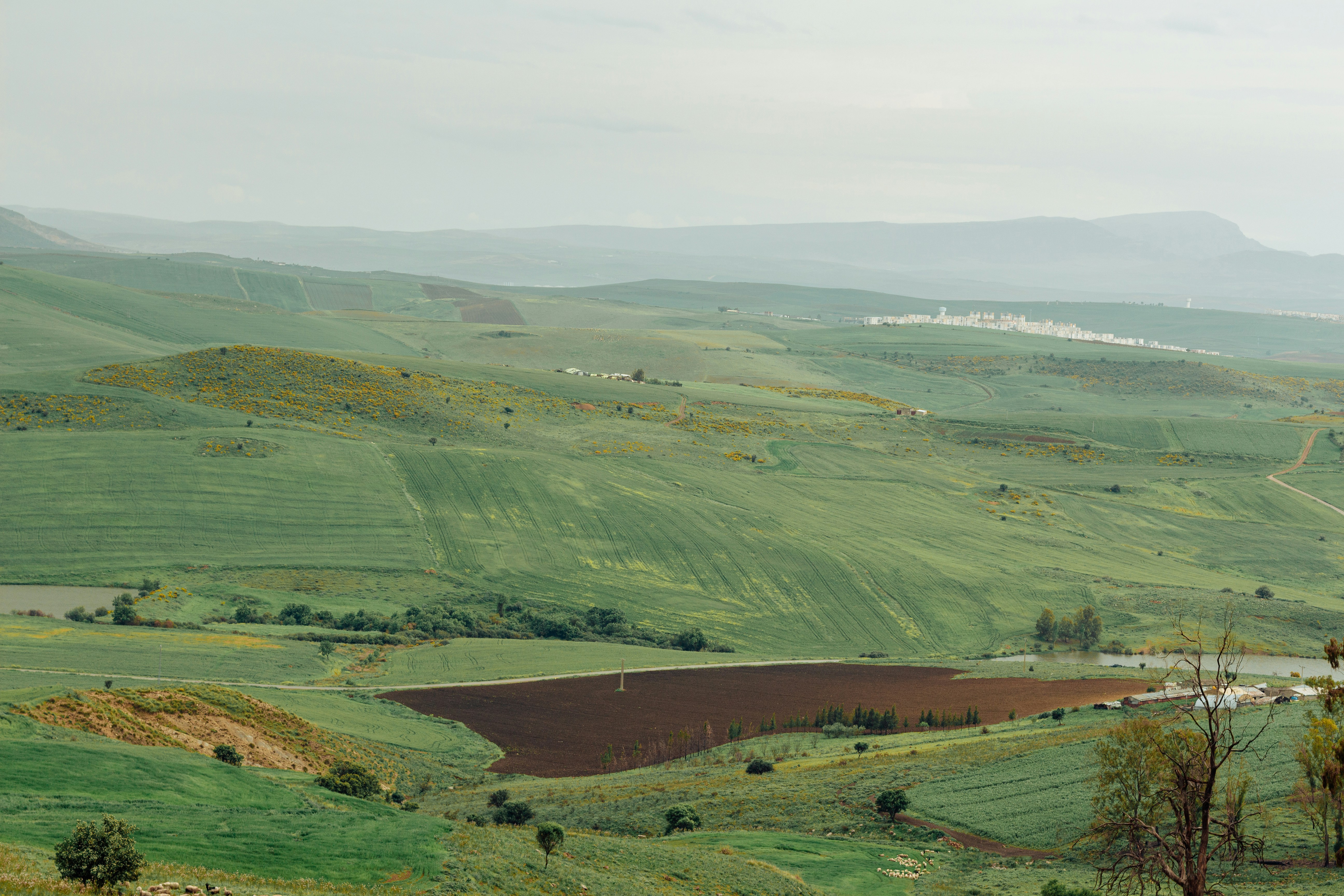 Terraced horizons: patchwork fields beneath a distant plateau