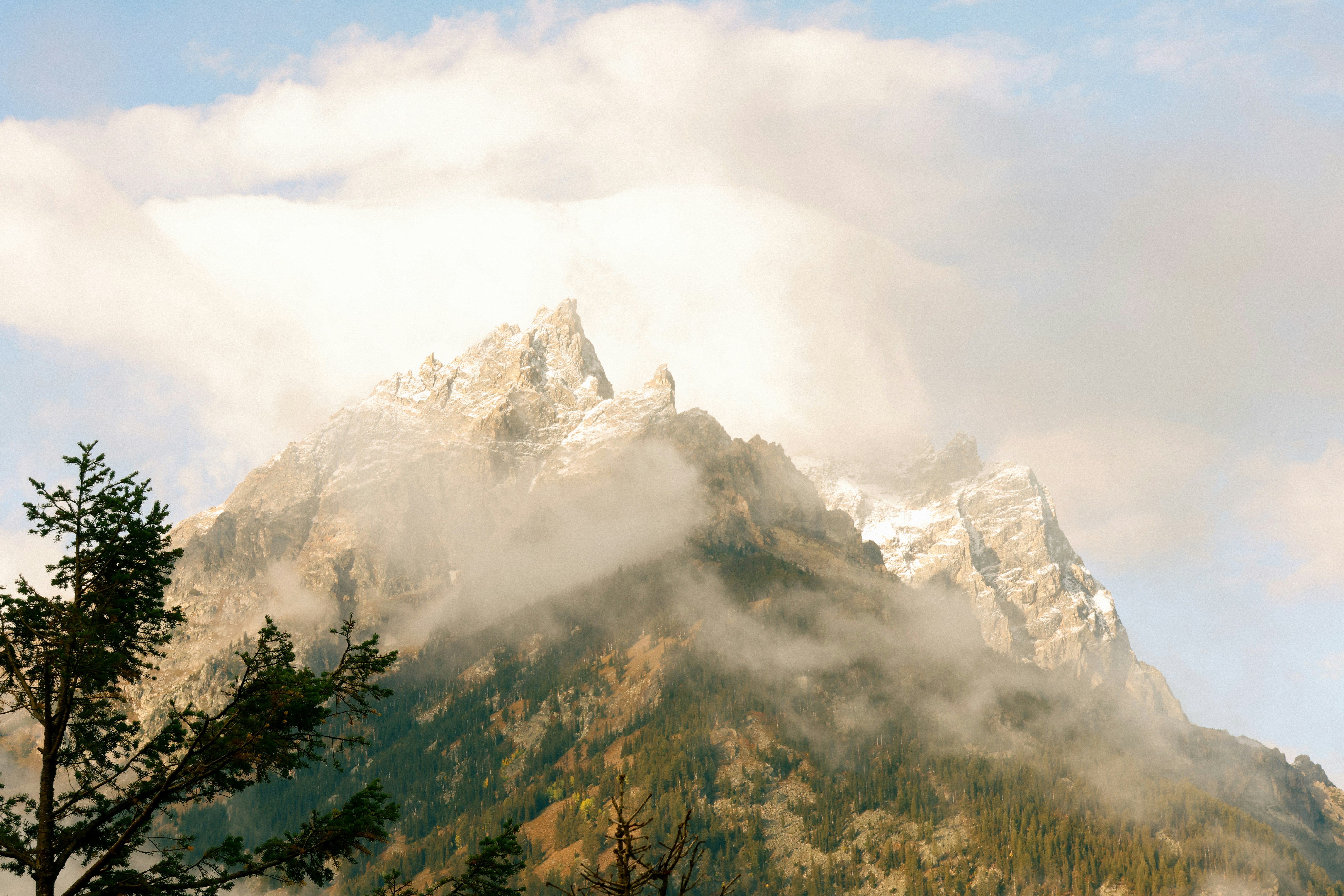 Mist-clad peak at dawn over pine-silhouetted slopes