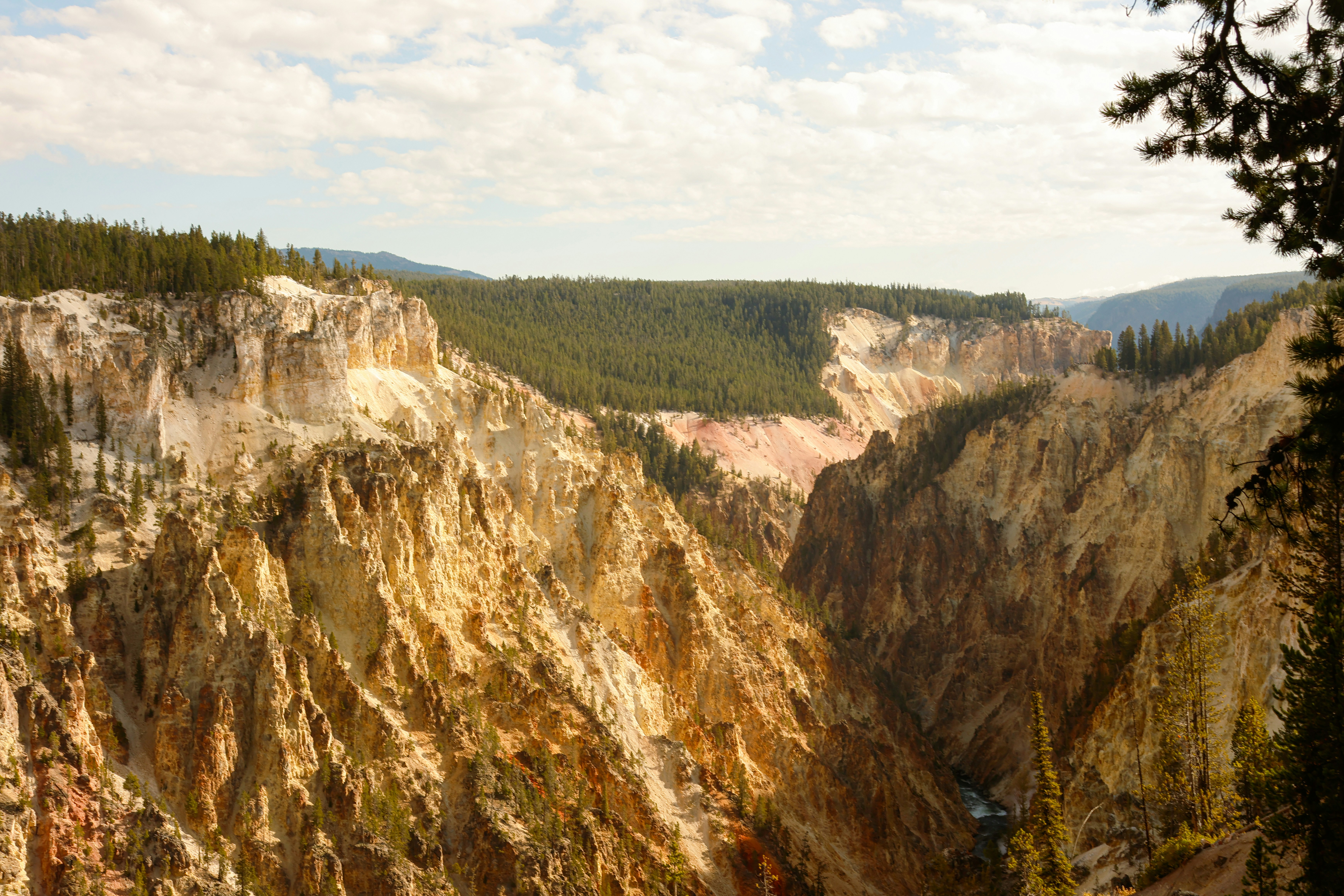 Golden Canyon Echelon: Cliff Faces and Forested Rims