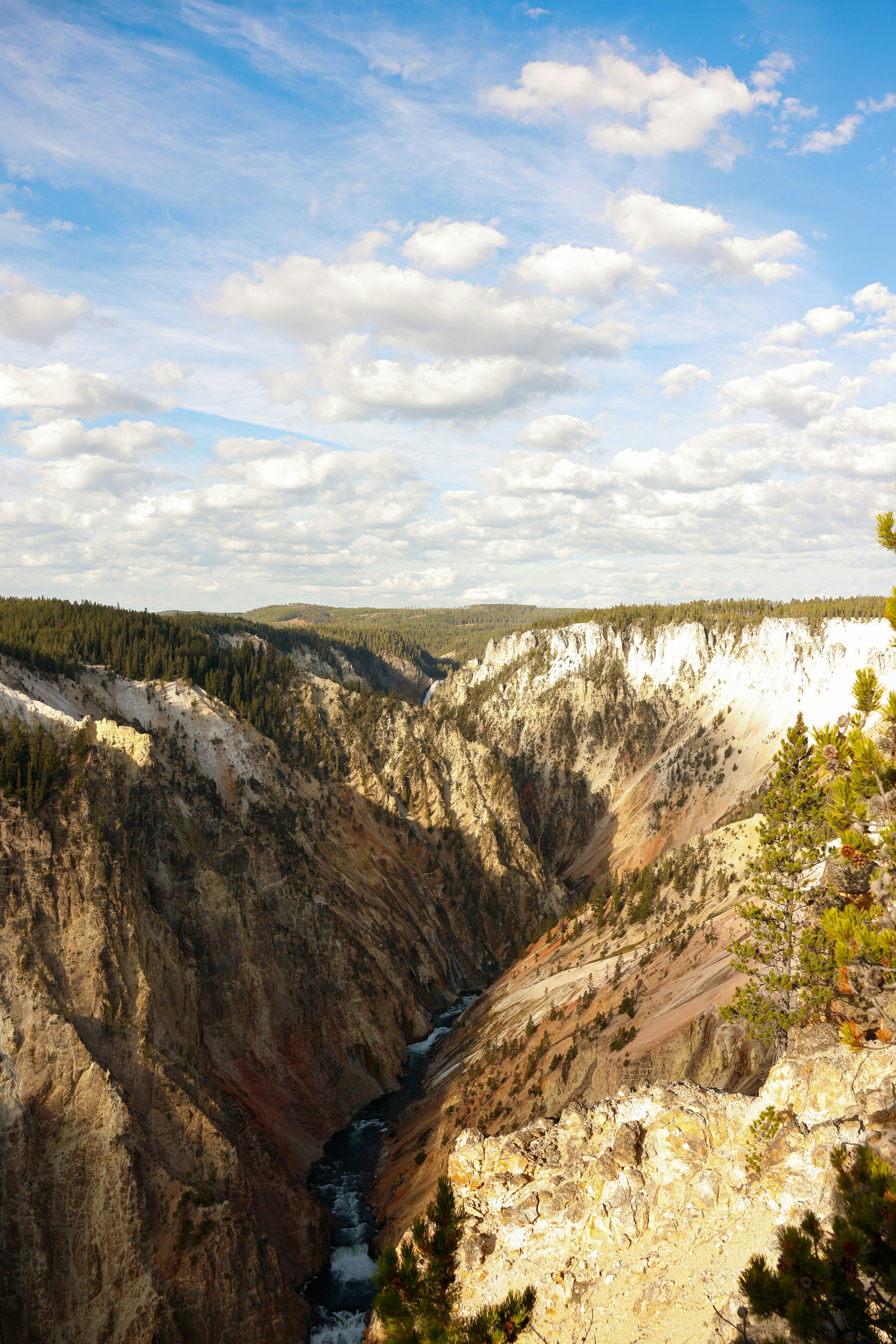 Grand canyon of the yellowstone with river below
