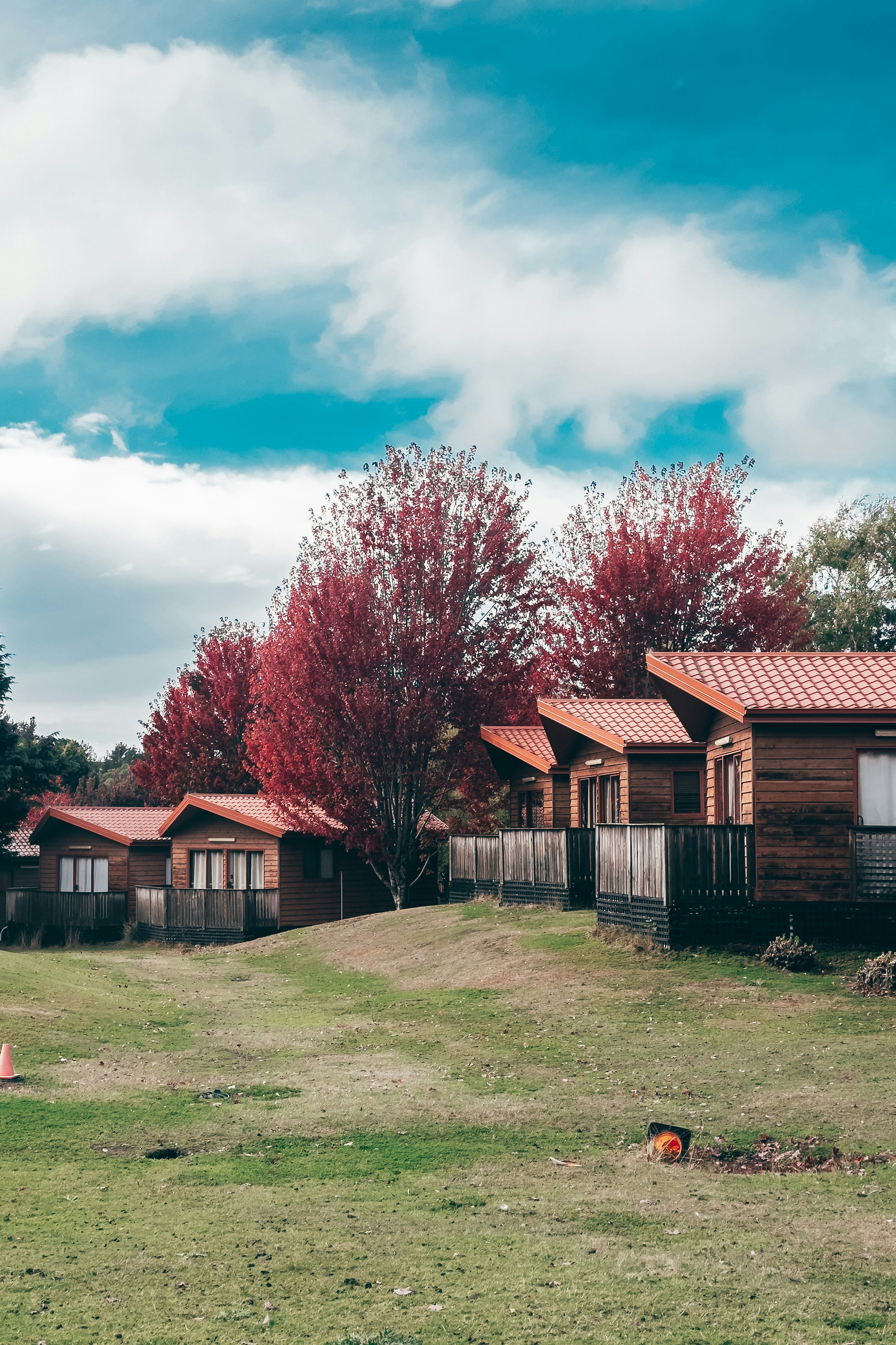 Autumn Row: Red-Leaf Canopies Over a Quiet Cabin Street