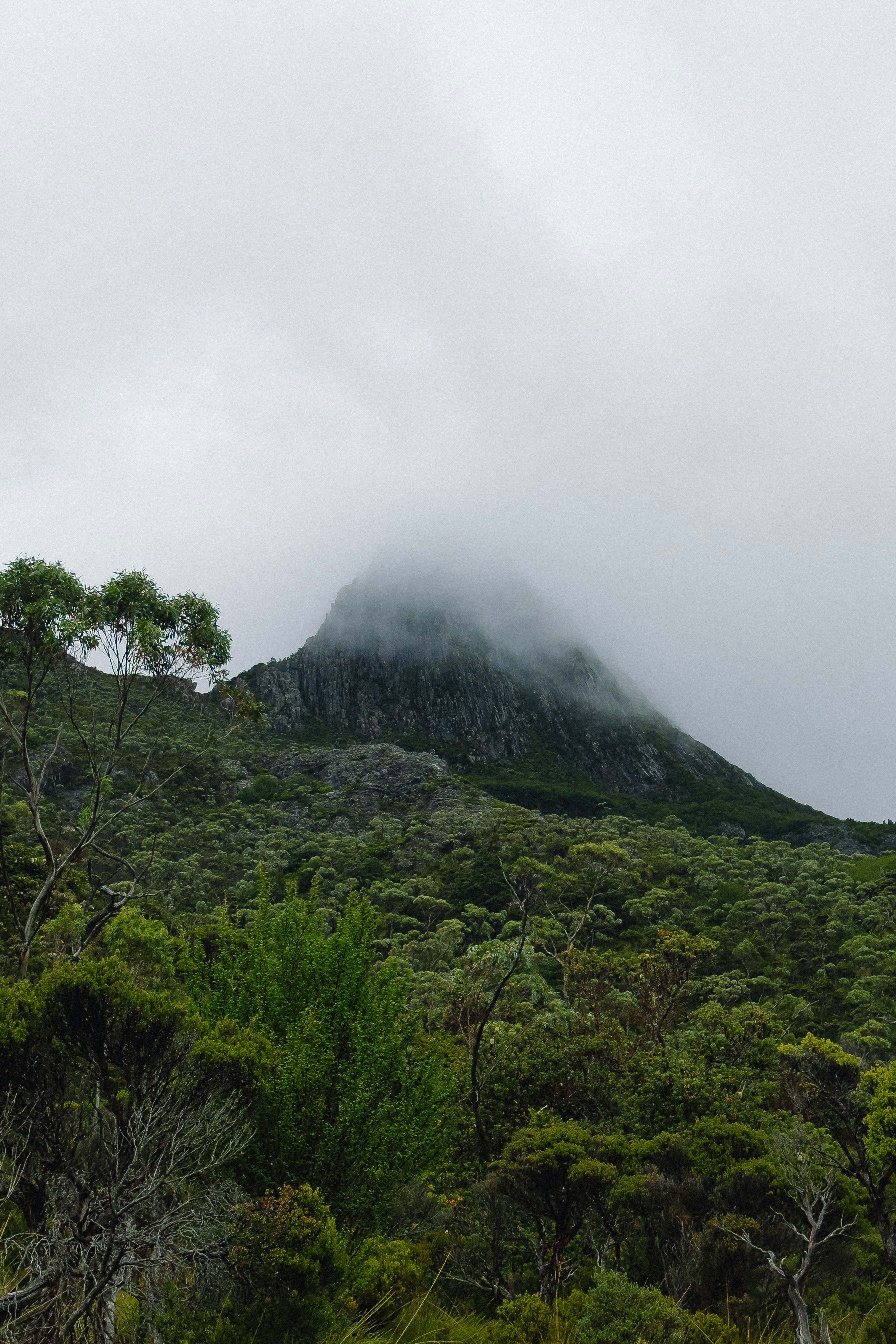 Mist-Lifted Peak Beyond the Green Crest